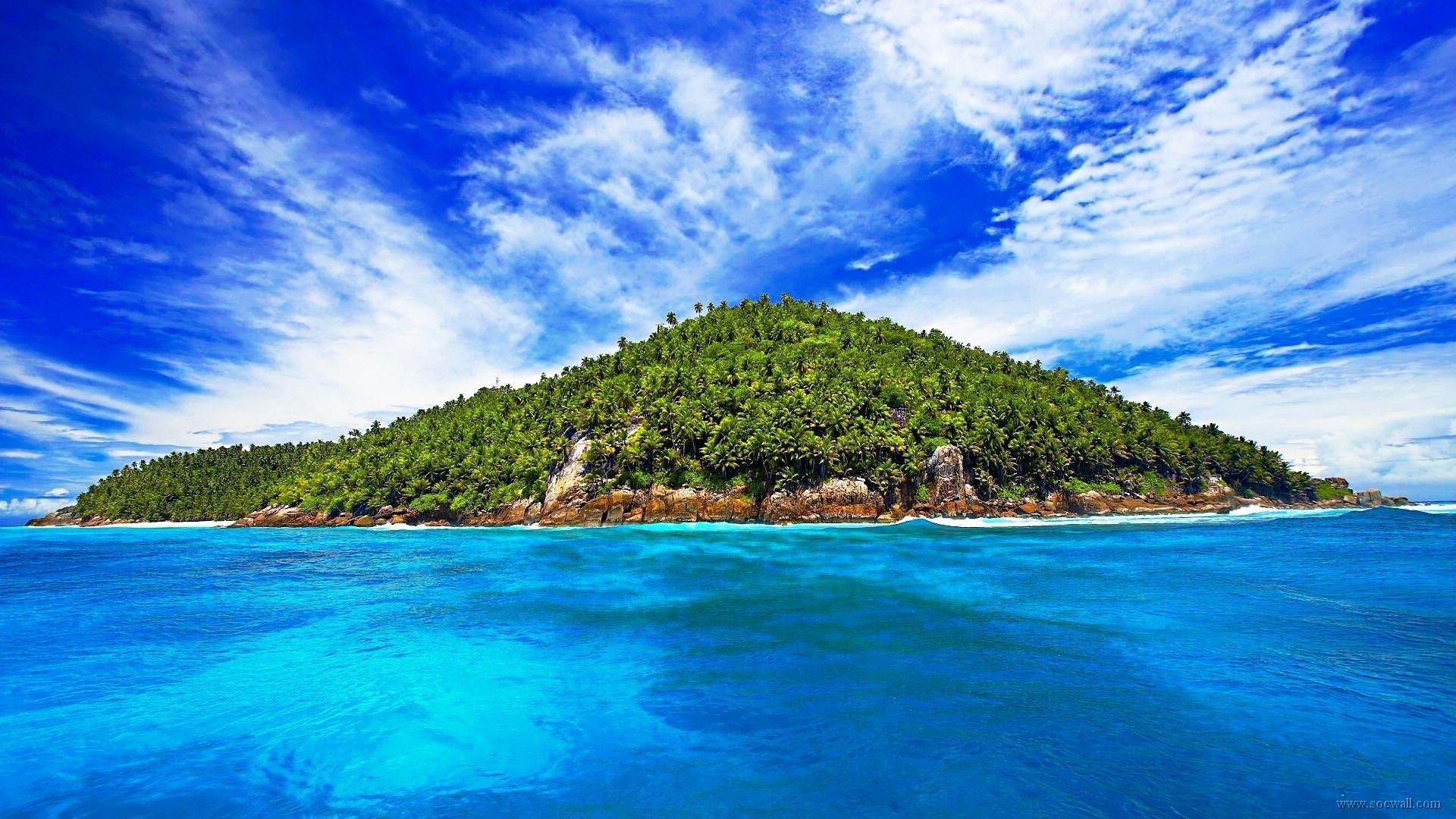 Ocean Forest Wallpapers - Top Free Ocean Forest Backgrounds ...