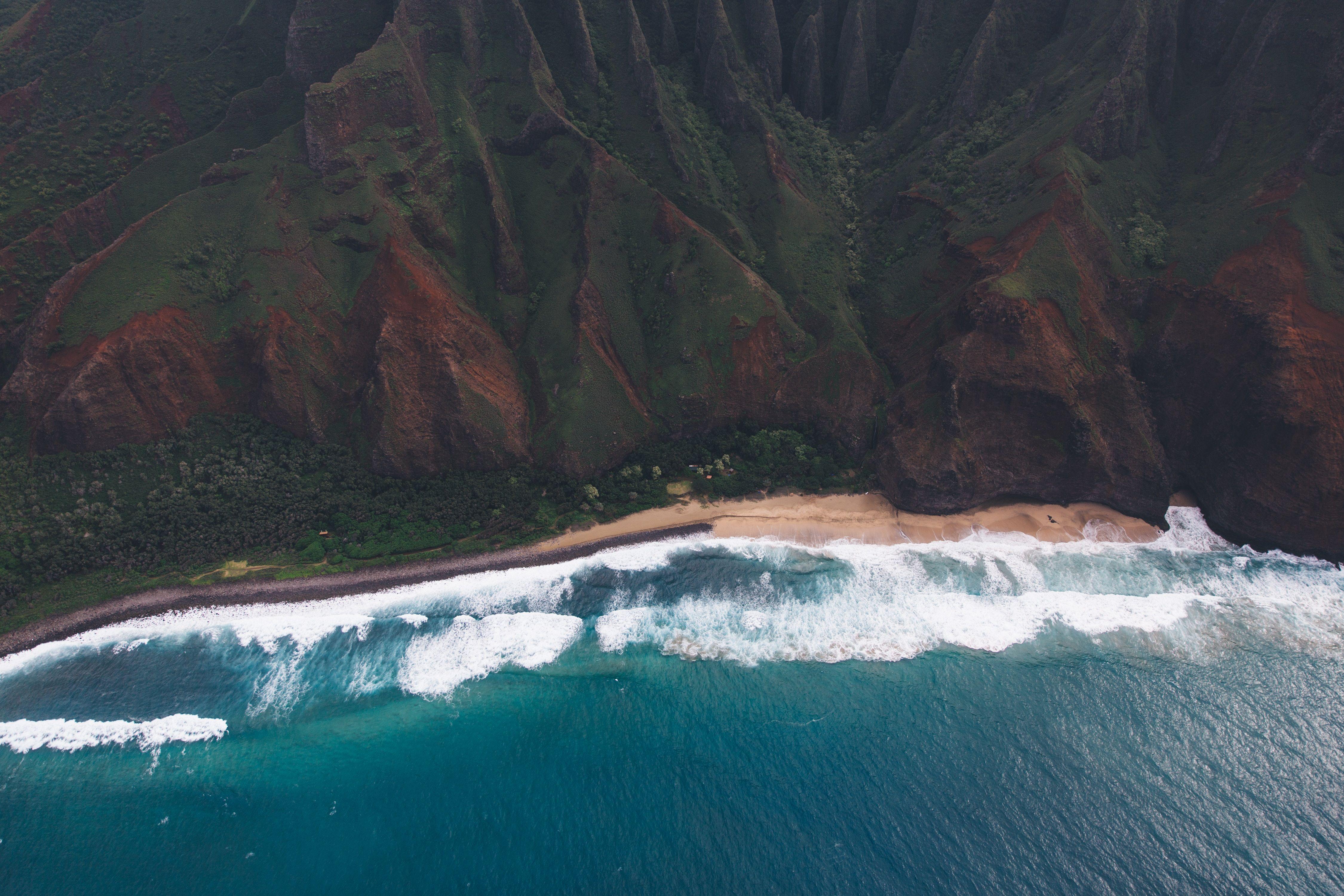 Ocean Forest Wallpapers - Top Free Ocean Forest Backgrounds ...