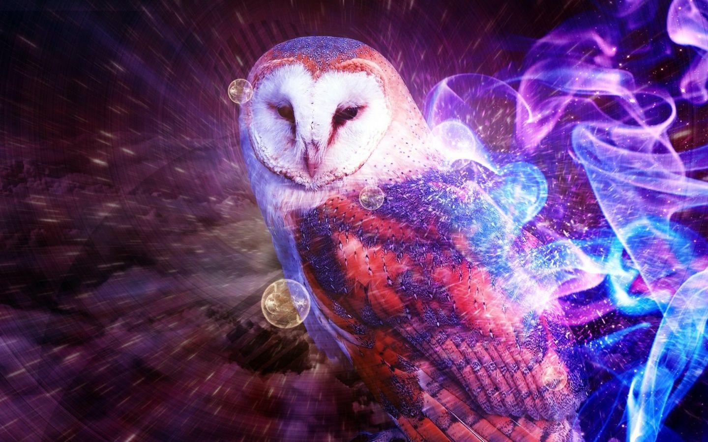 Trippy Owl Wallpapers - Top Free Trippy Owl Backgrounds - WallpaperAccess