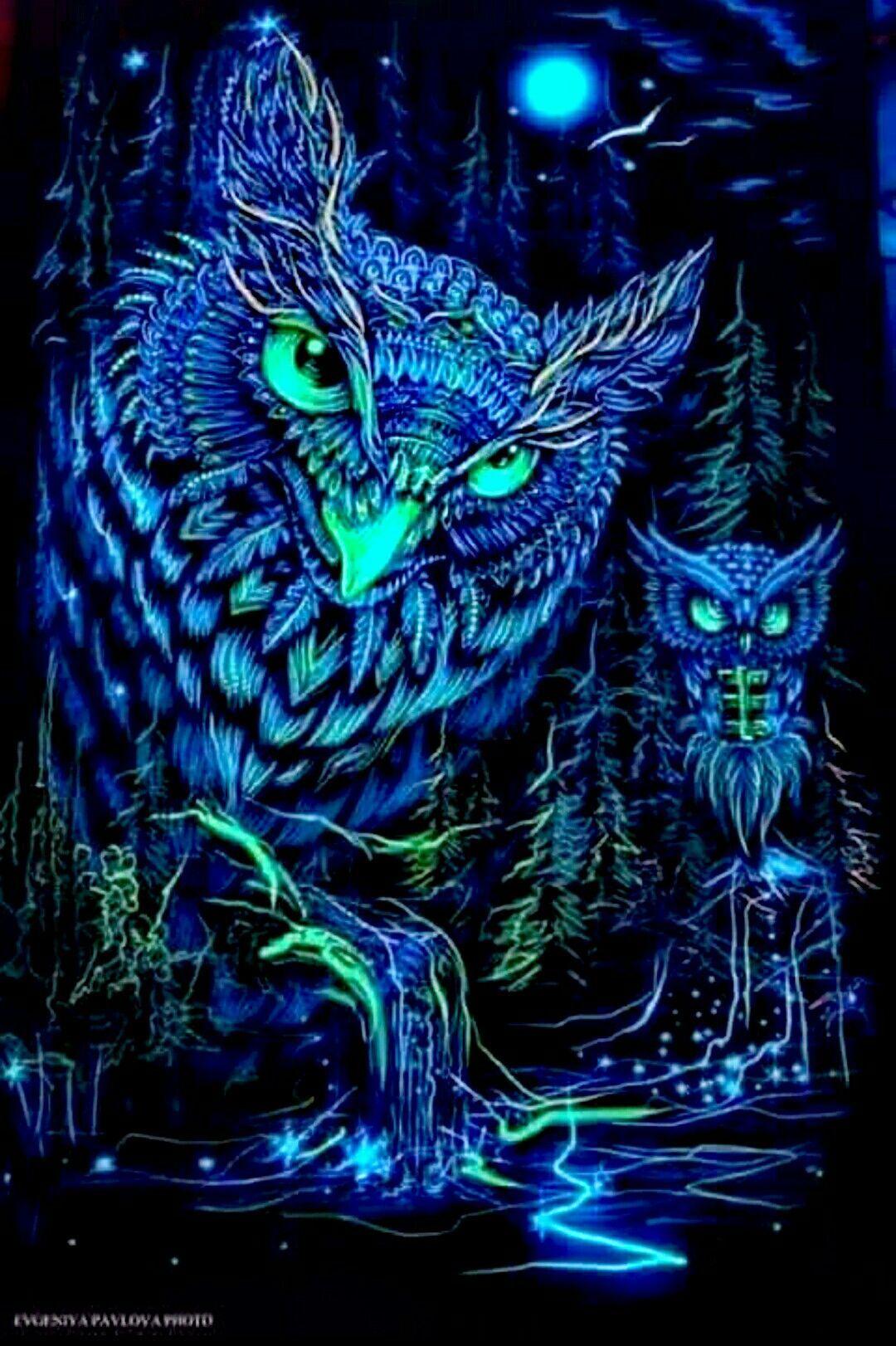Trippy Owl Wallpapers - Top Free Trippy Owl Backgrounds - WallpaperAccess
