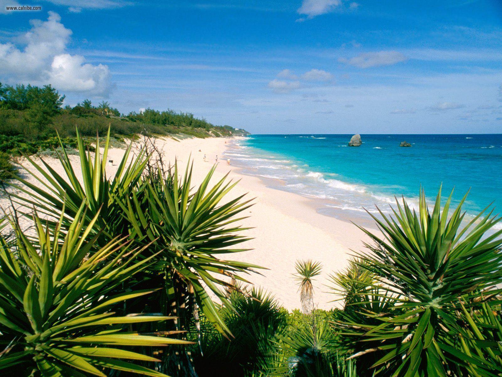 Bermuda Wallpapers - Top Free Bermuda Backgrounds - WallpaperAccess