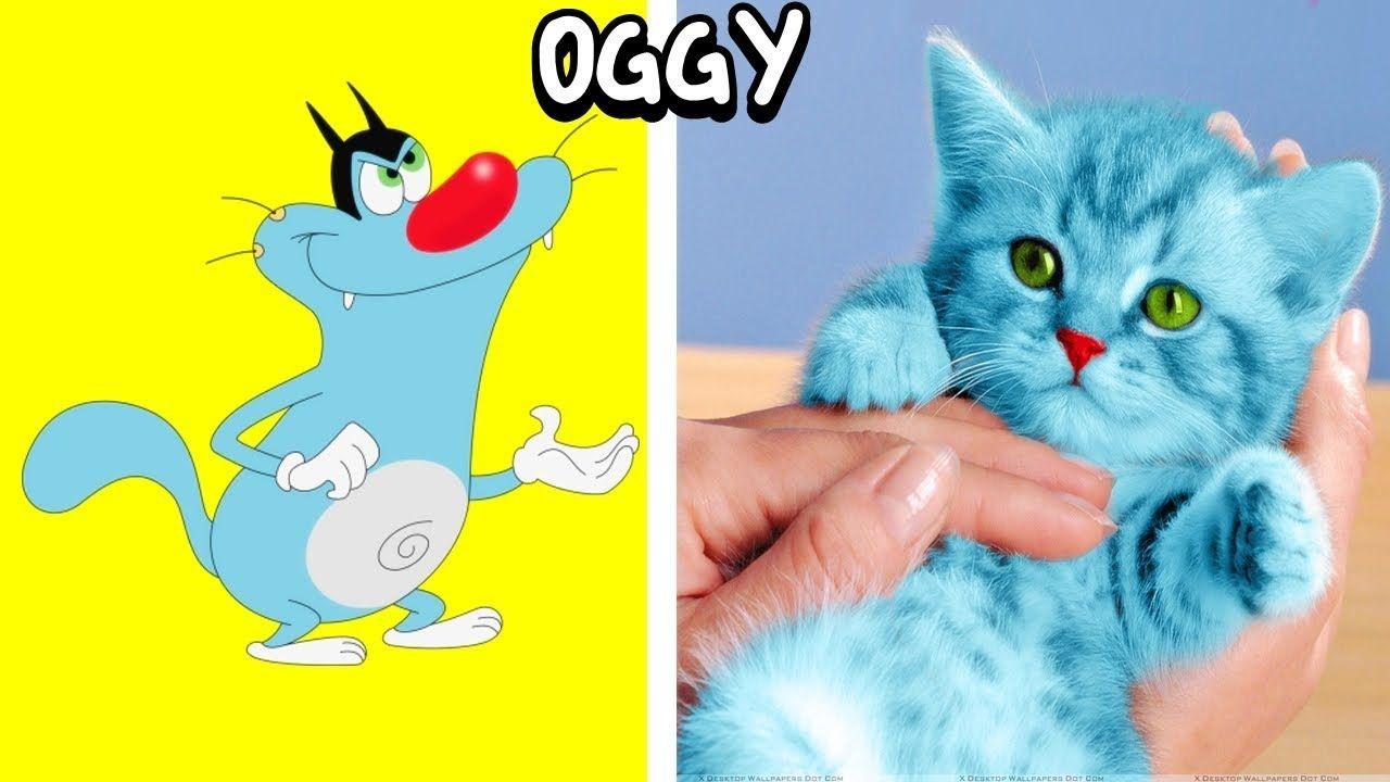 Oggy And The Cockroach Wallpapers - Top Free Oggy And The Cockroach ...