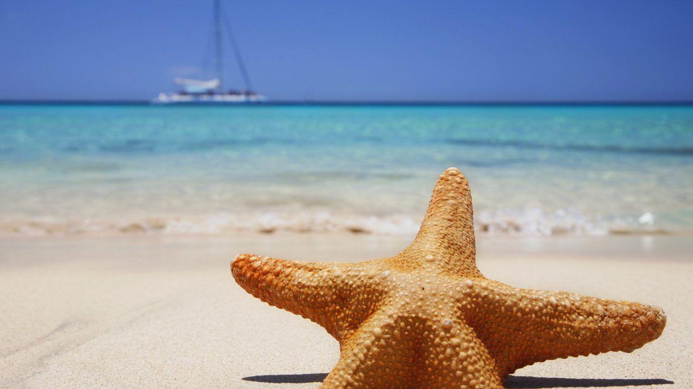 Bermuda Wallpapers - Top Free Bermuda Backgrounds - WallpaperAccess