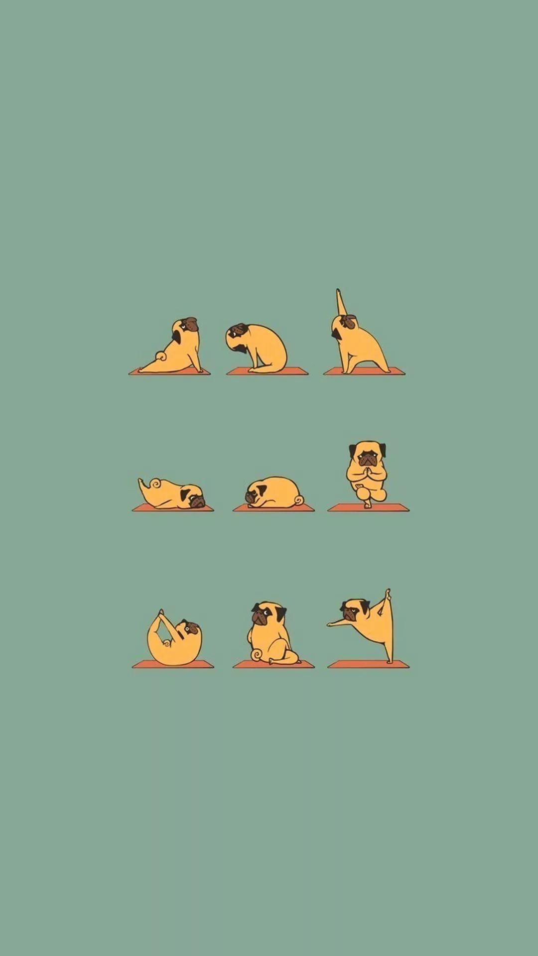 Cartoon Pug Wallpapers - Top Free Cartoon Pug Backgrounds - WallpaperAccess