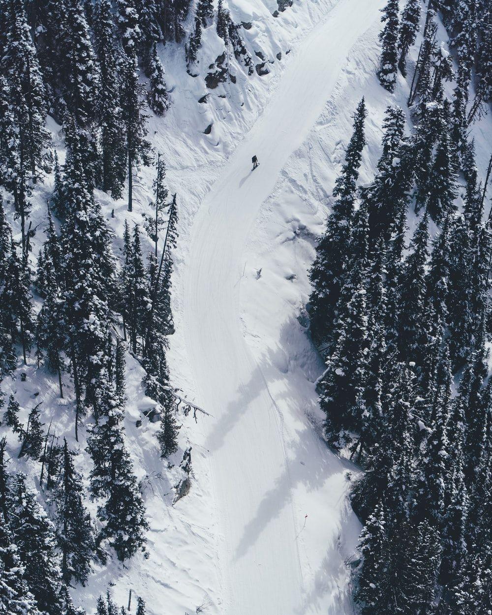 Whistler Wallpapers - Top Free Whistler Backgrounds - WallpaperAccess