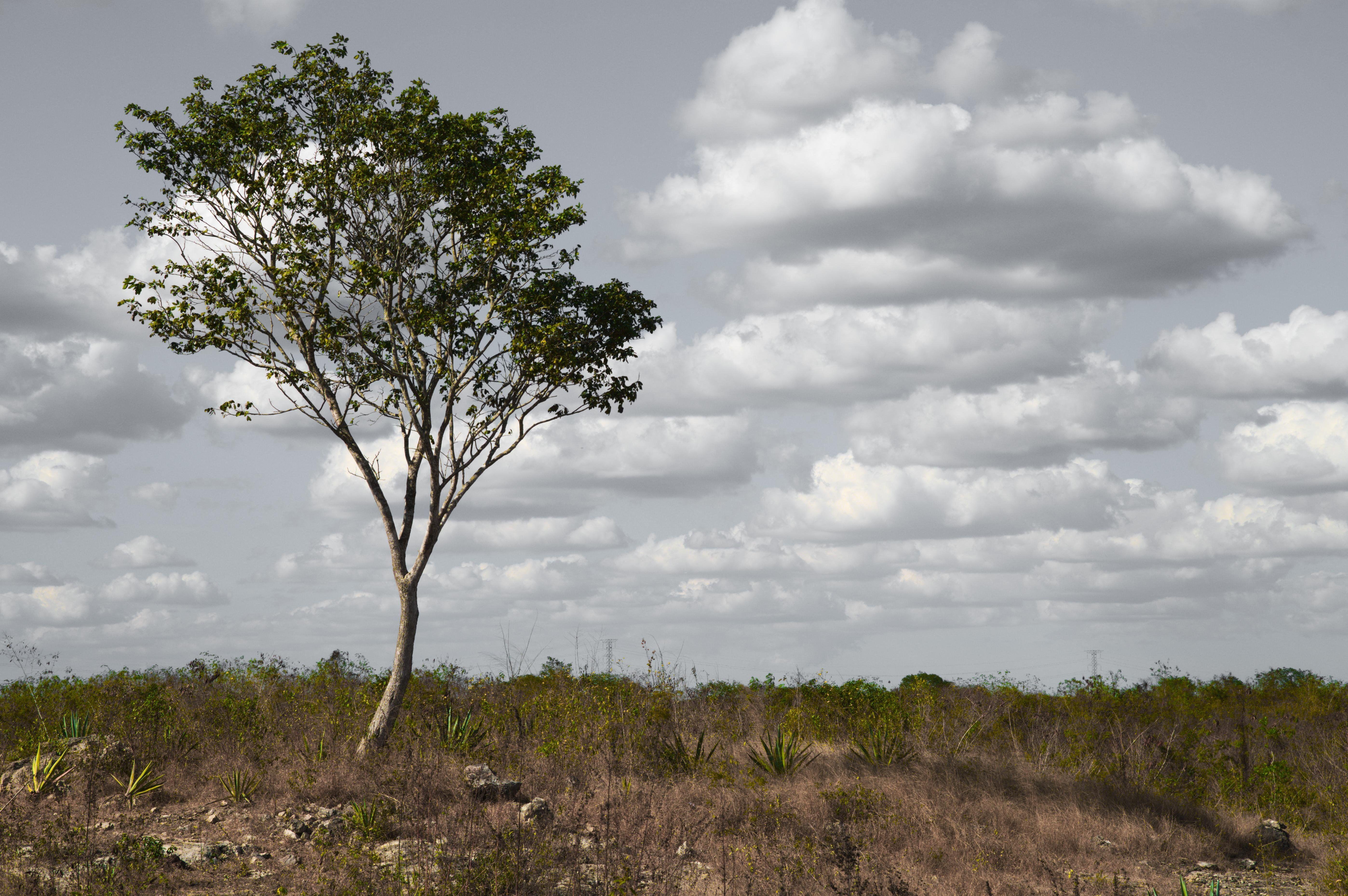 Yucatán Wallpapers - Top Free Yucatán Backgrounds - WallpaperAccess
