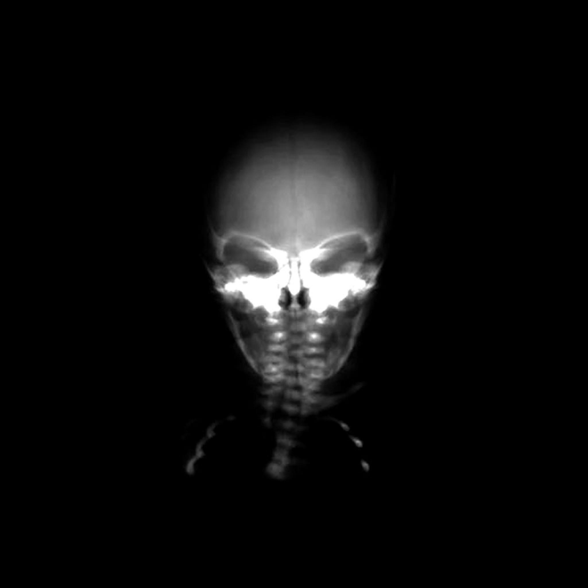 Alien Head Wallpapers - Top Free Alien Head Backgrounds - WallpaperAccess