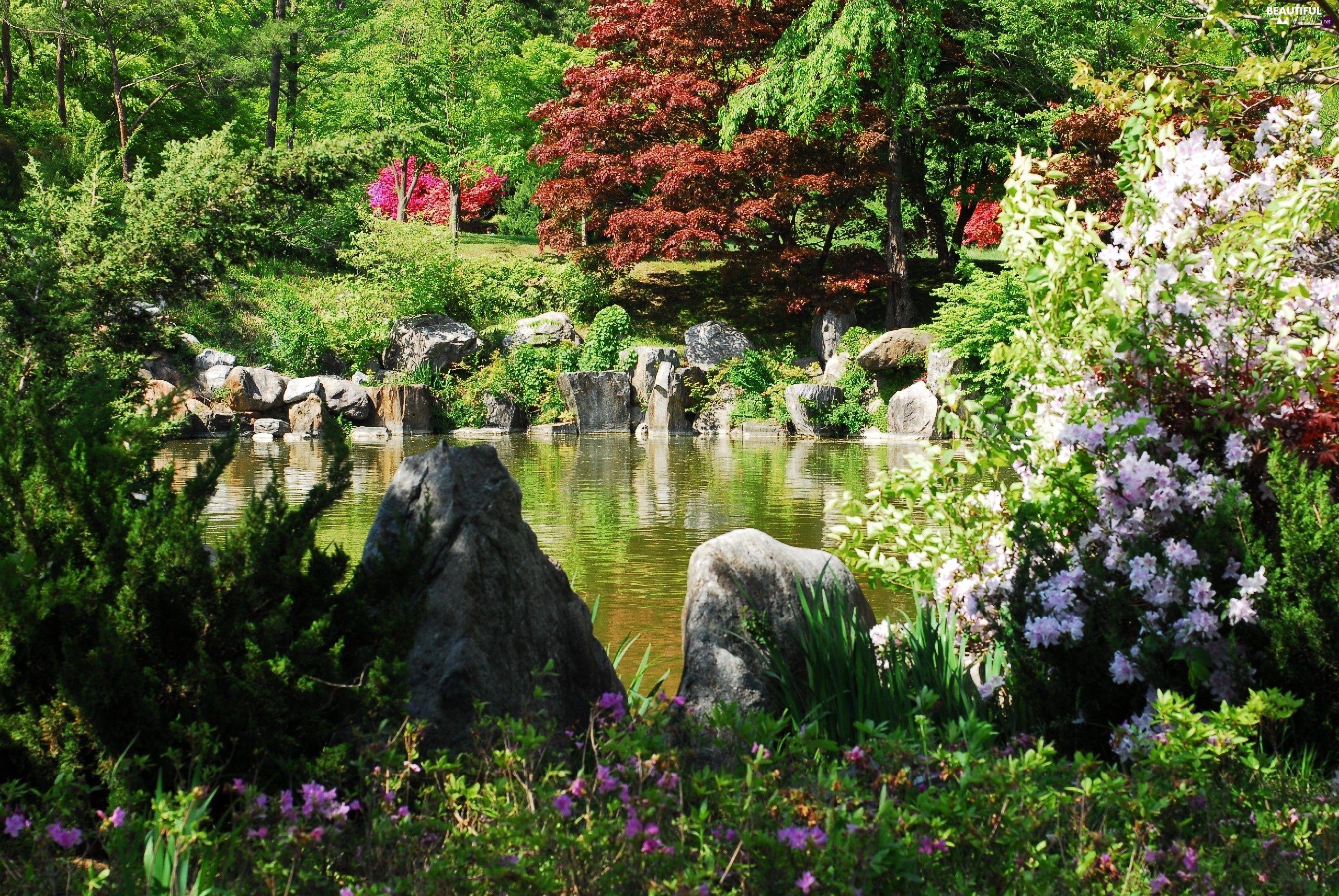 Korean Garden Wallpapers - Top Free Korean Garden Backgrounds ...