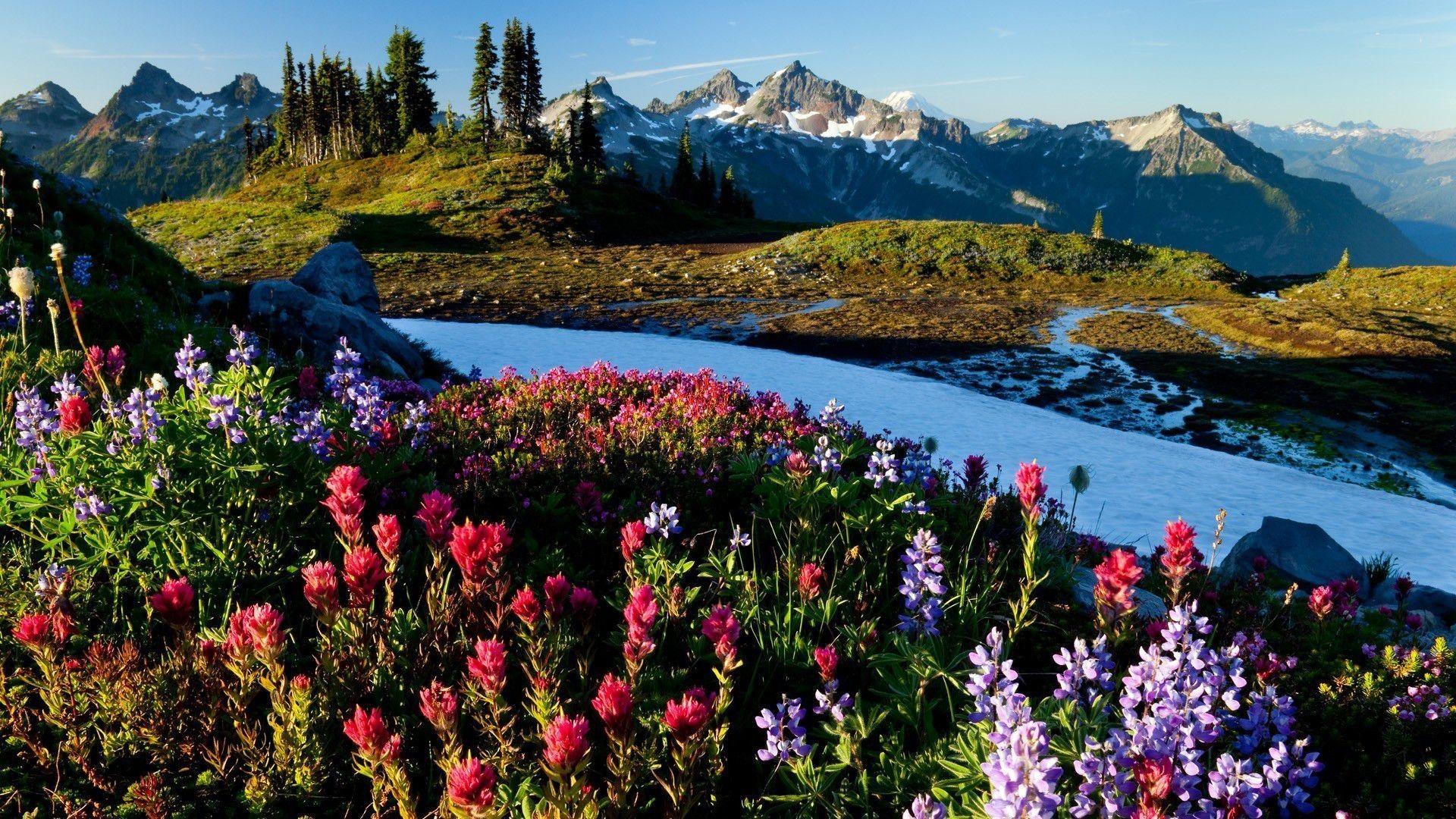 Mountains Desktop Wallpapers - Top Free Mountains Desktop Backgrounds ...