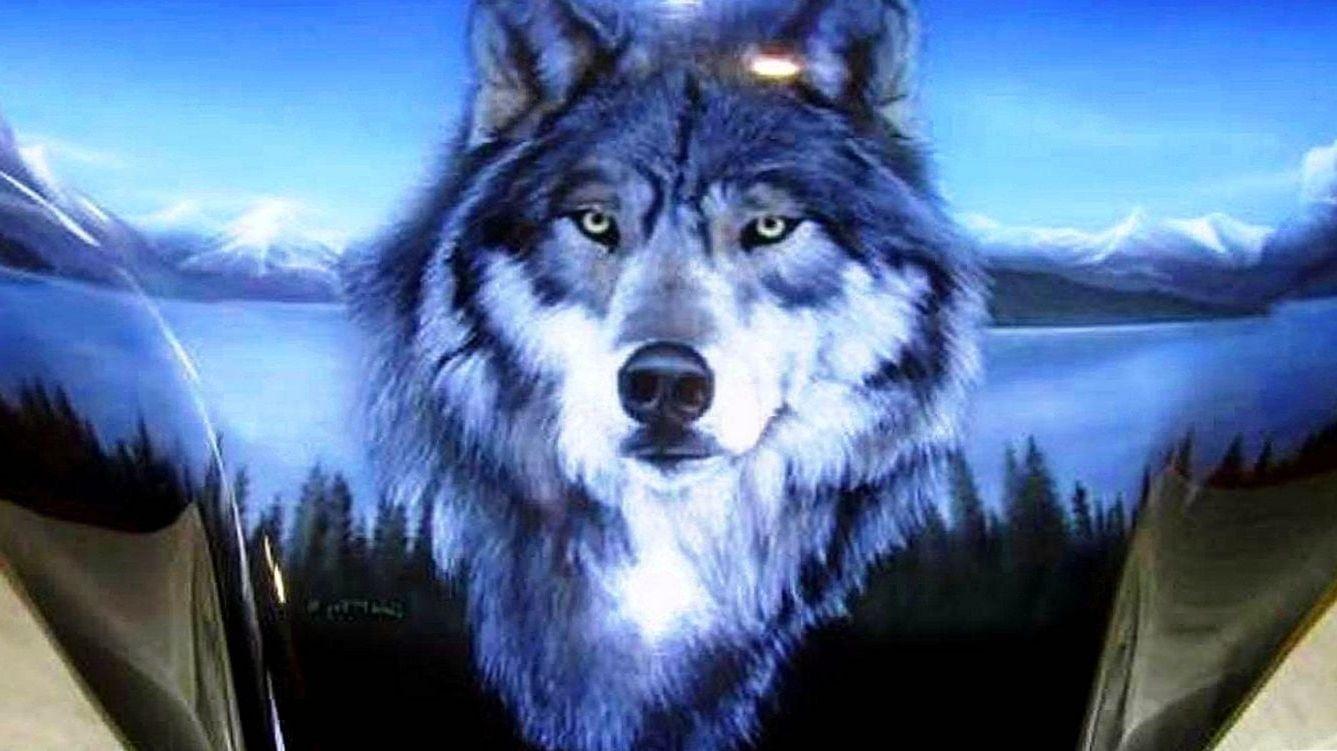 Native American Wolves Wallpapers - Top Free Native American Wolves Backgrounds - WallpaperAccess