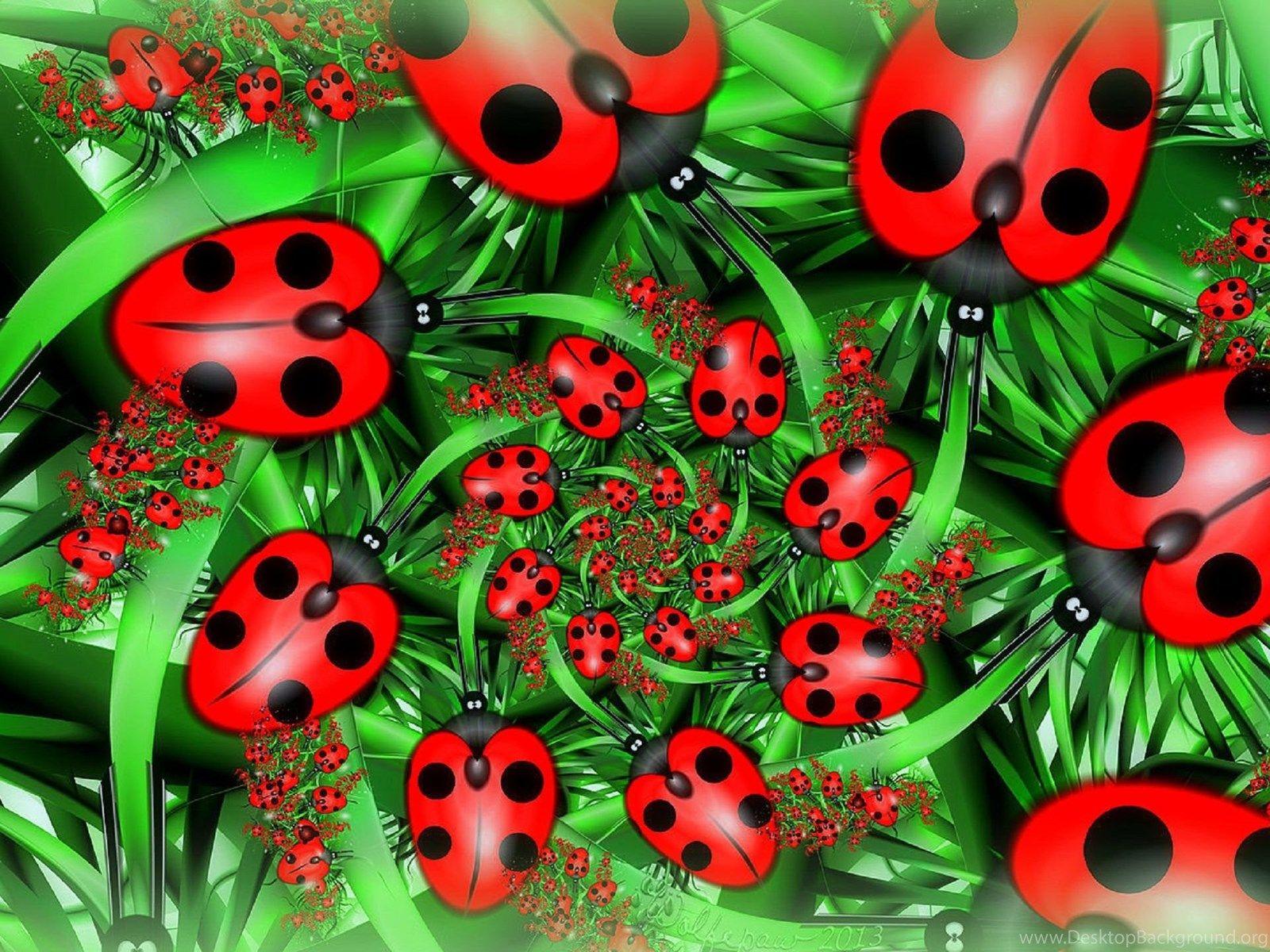 Cute Ladybug Wallpapers - Top Free Cute Ladybug Backgrounds ...