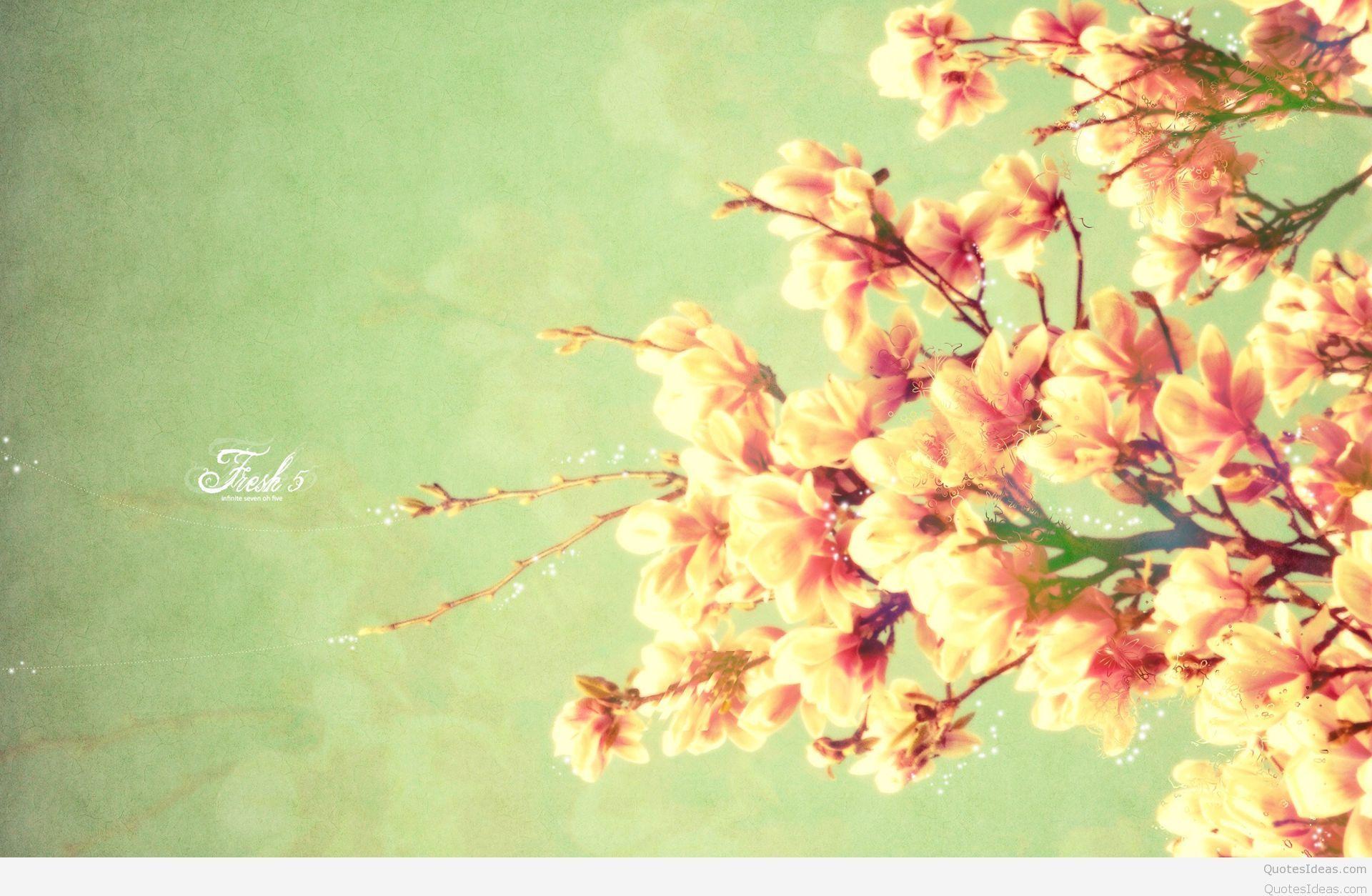 Hello Spring Computer Wallpapers - Top Free Hello Spring Computer ...