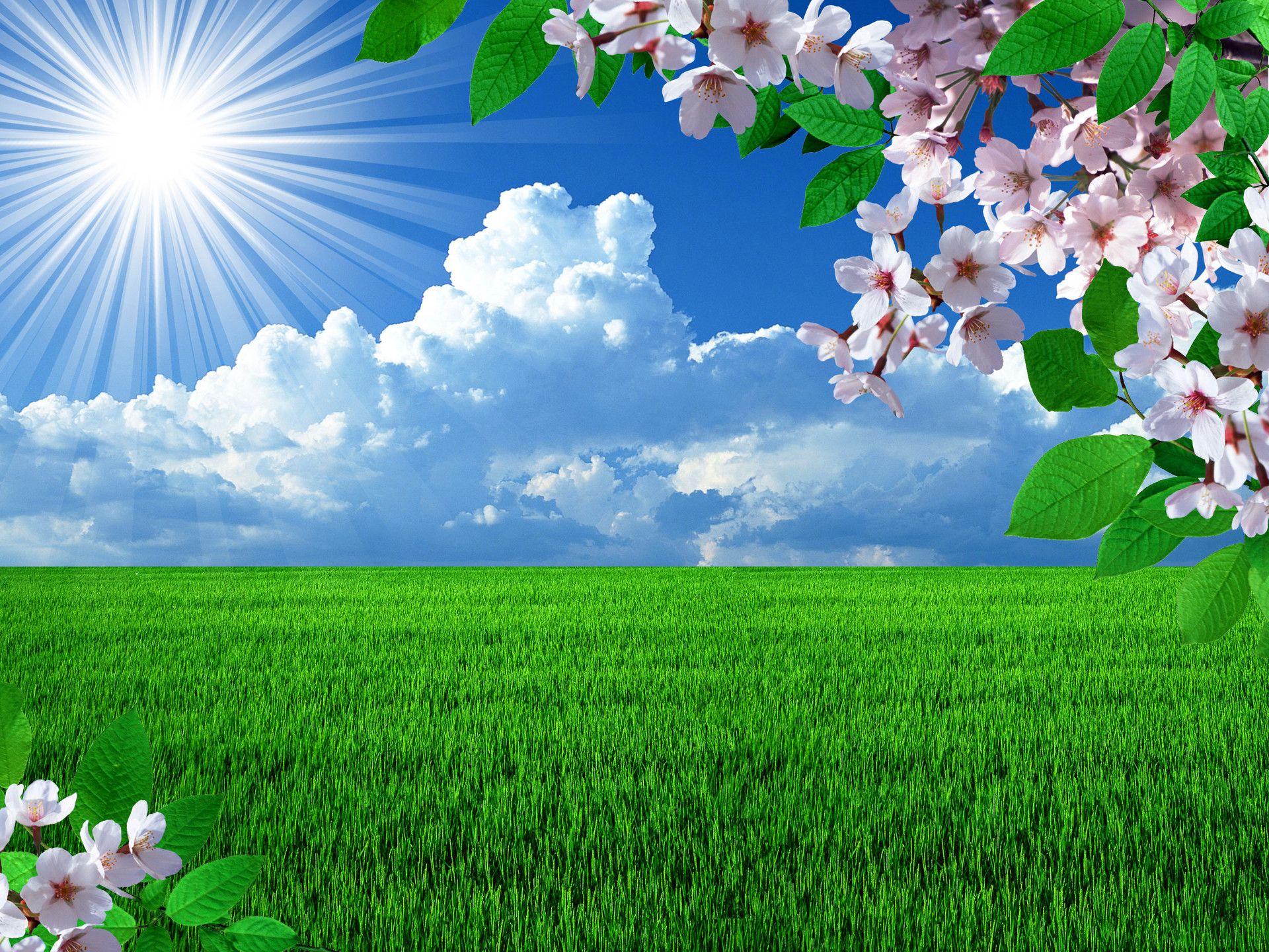 Springtime Desktop Wallpapers - Top Free Springtime Desktop Backgrounds ...
