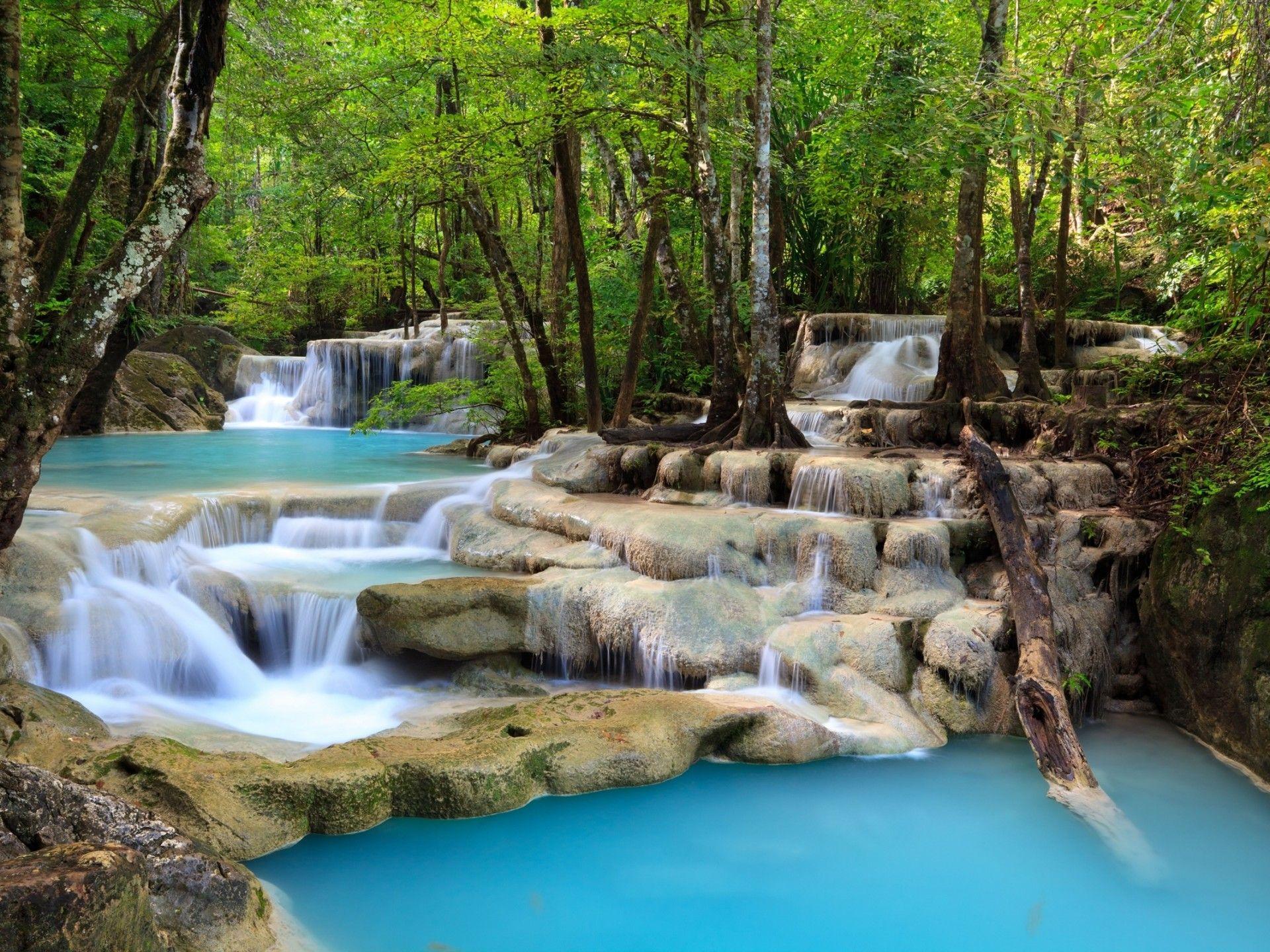 Jungle River Wallpapers - Top Free Jungle River Backgrounds ...