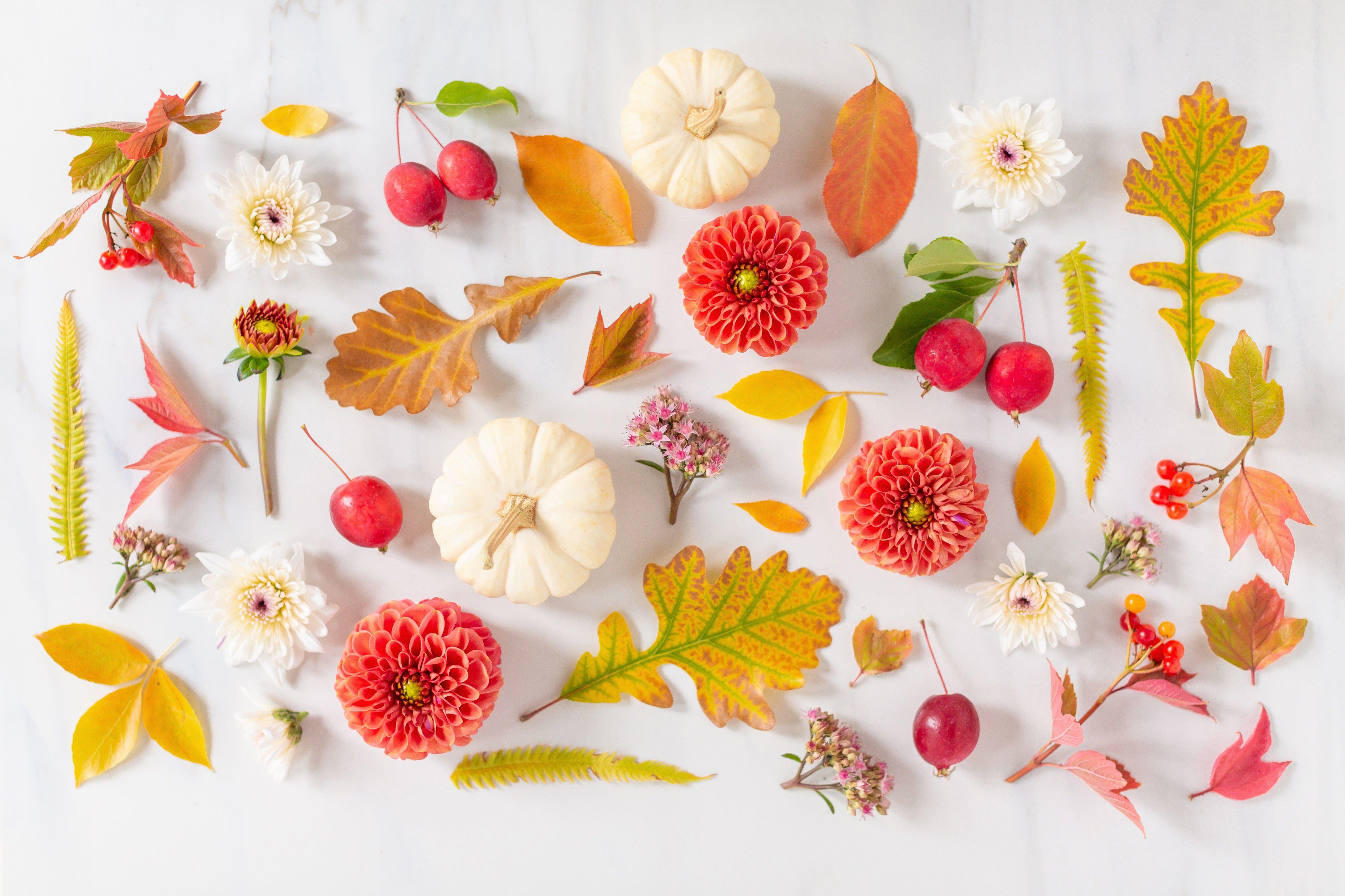 Fall Floral Desktop Wallpapers - Top Free Fall Floral Desktop ...