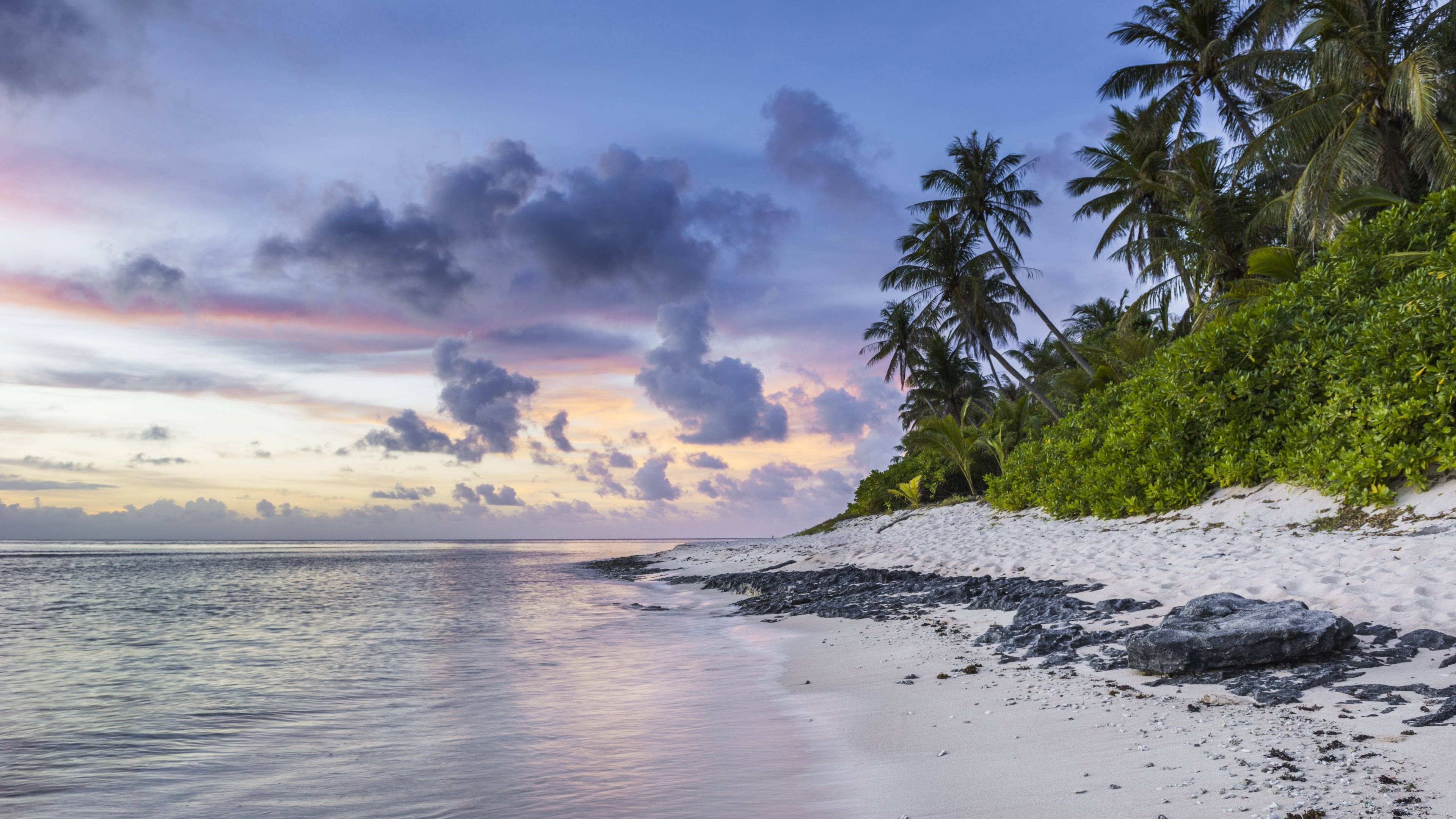 4K Exotic Wallpapers - Top Free 4K Exotic Backgrounds - WallpaperAccess