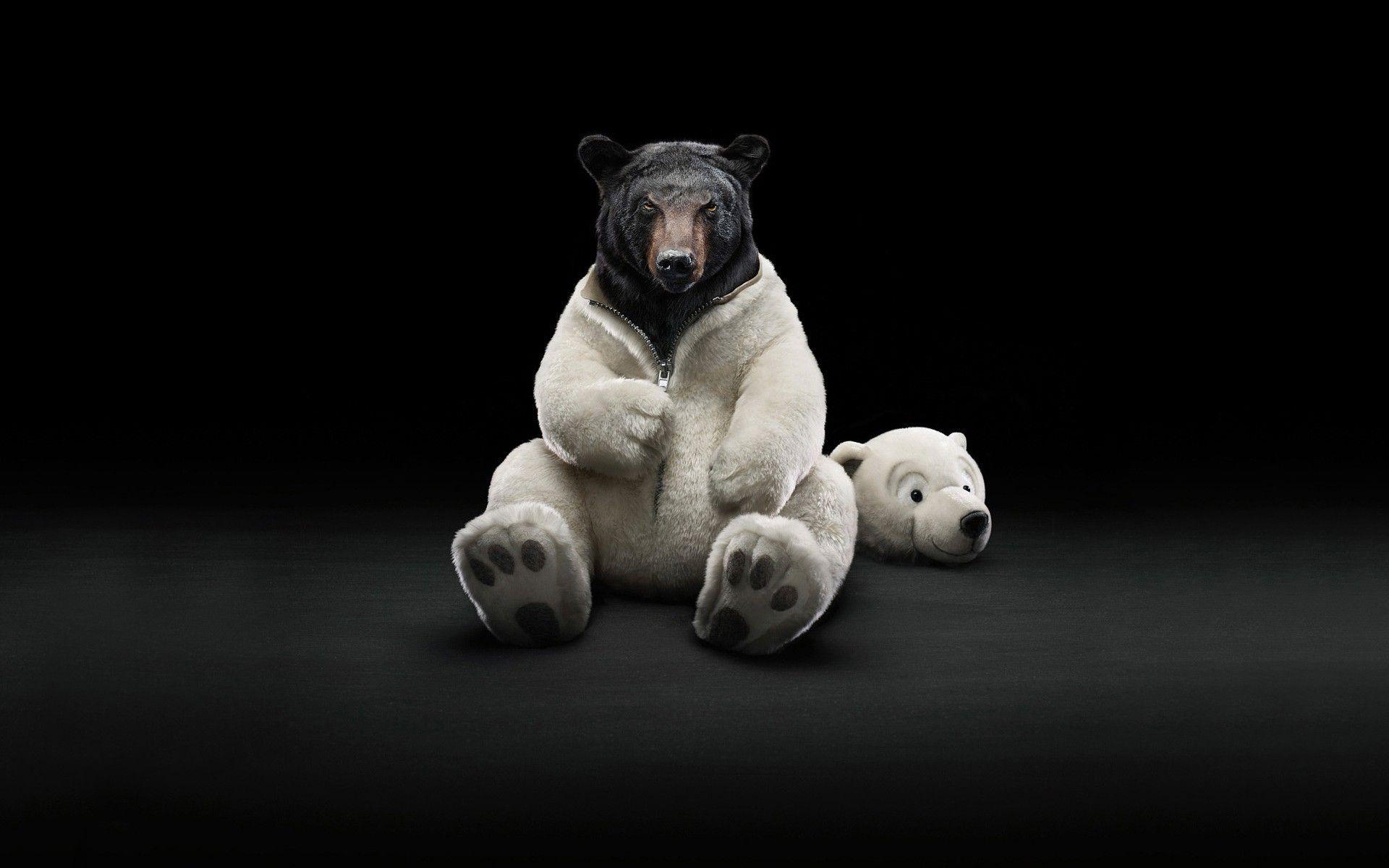 Weird HD Wallpapers - Top Free Weird HD Backgrounds - WallpaperAccess