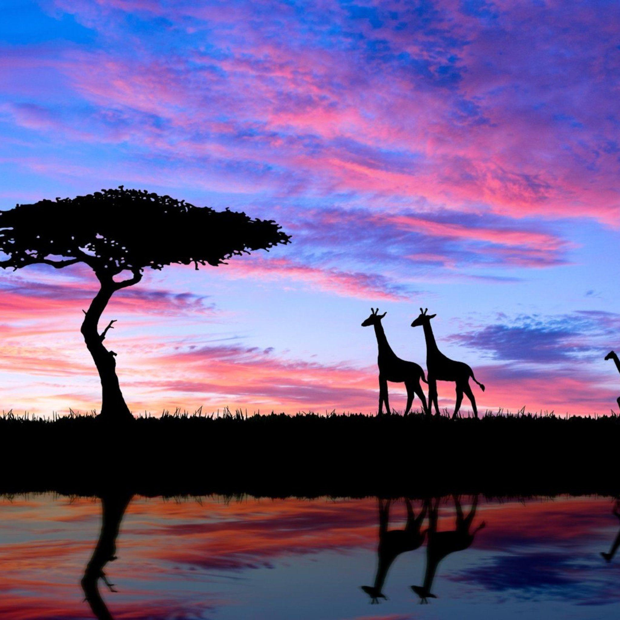 Tropical Savanna Wallpapers - Top Free Tropical Savanna Backgrounds ...