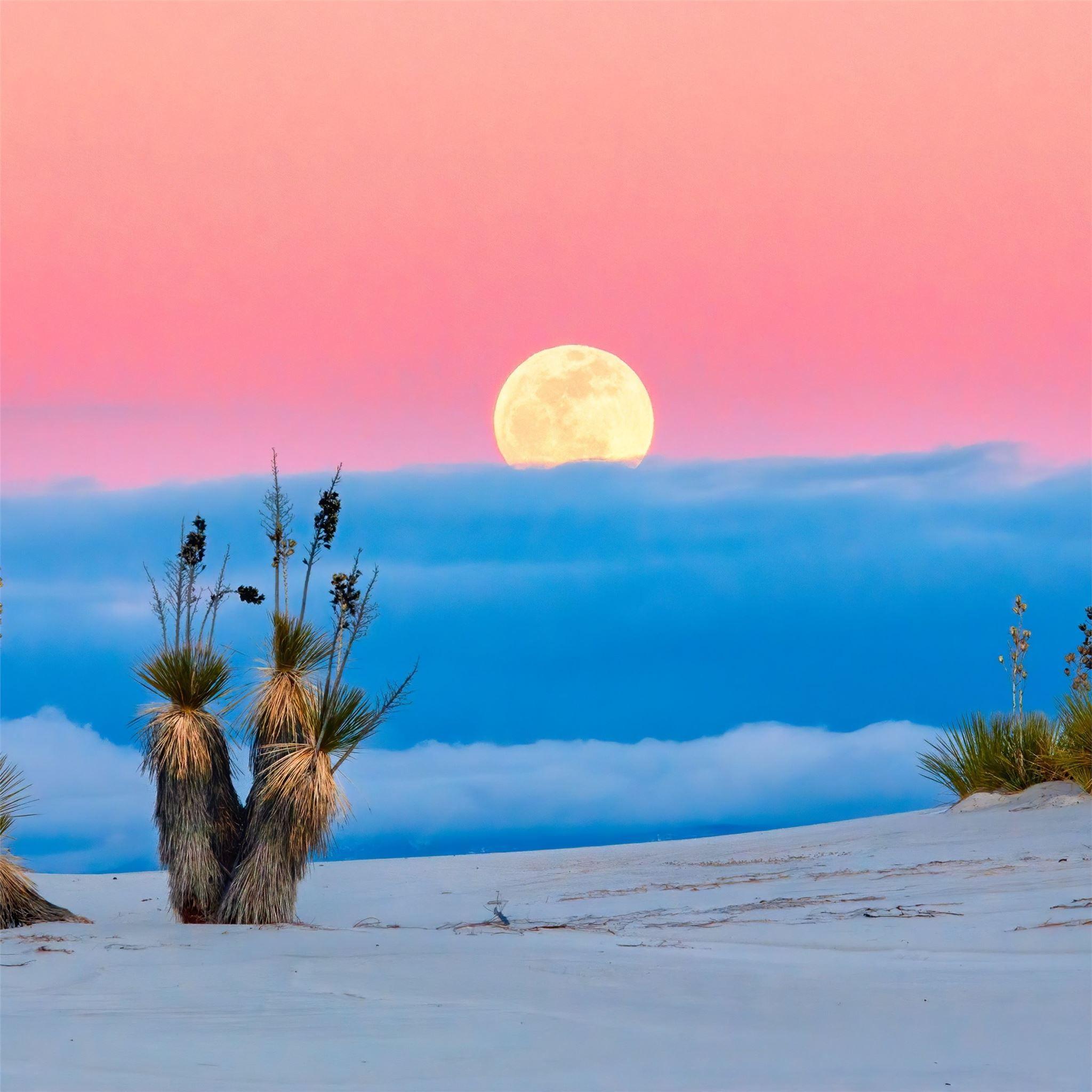 Outdoor 4K Wallpapers - Top Free Outdoor 4K Backgrounds - WallpaperAccess