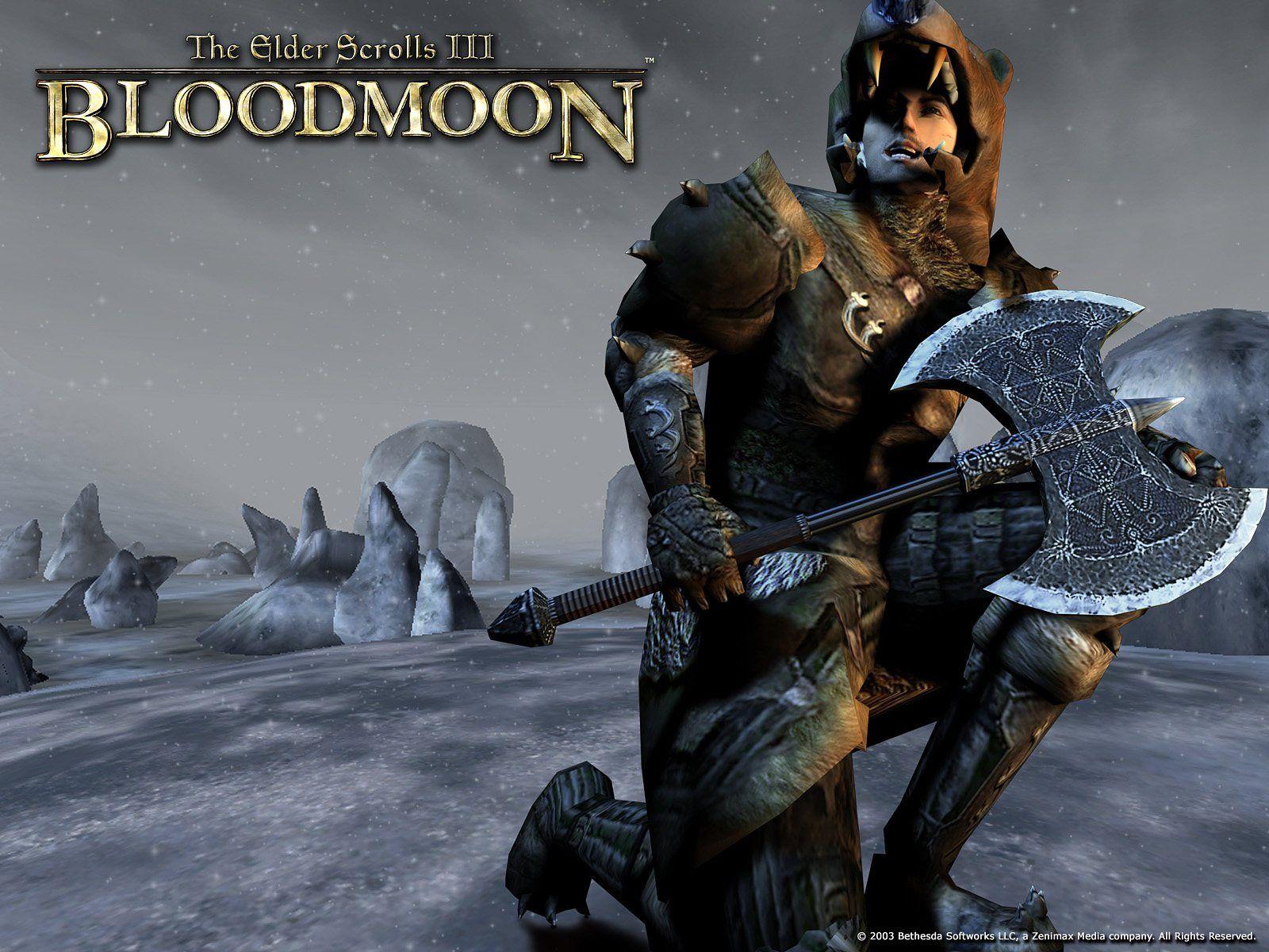 Elder Scrolls Morrowind Wallpapers - Top Free Elder Scrolls Morrowind Backgrounds - WallpaperAccess