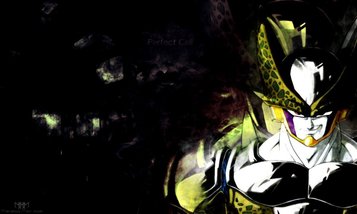 Dragon Ball Z Cell Wallpapers - Top Free Dragon Ball Z Cell Backgrounds ...