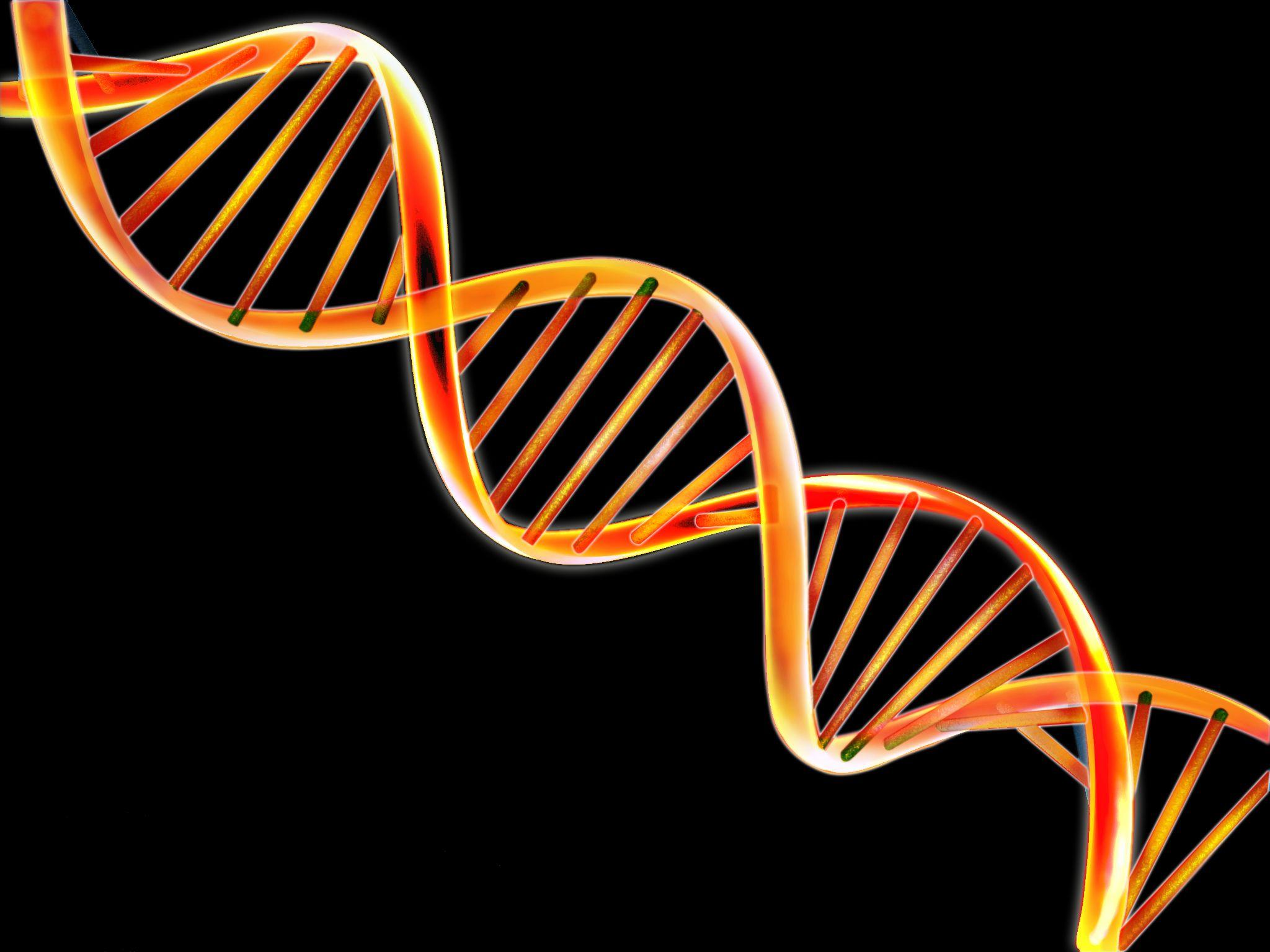 Double Helix Wallpapers - Top Free Double Helix Backgrounds ...