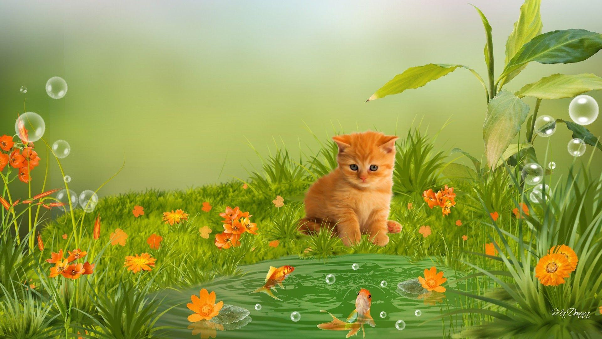 Summer Kitten Wallpapers - Top Free Summer Kitten Backgrounds ...