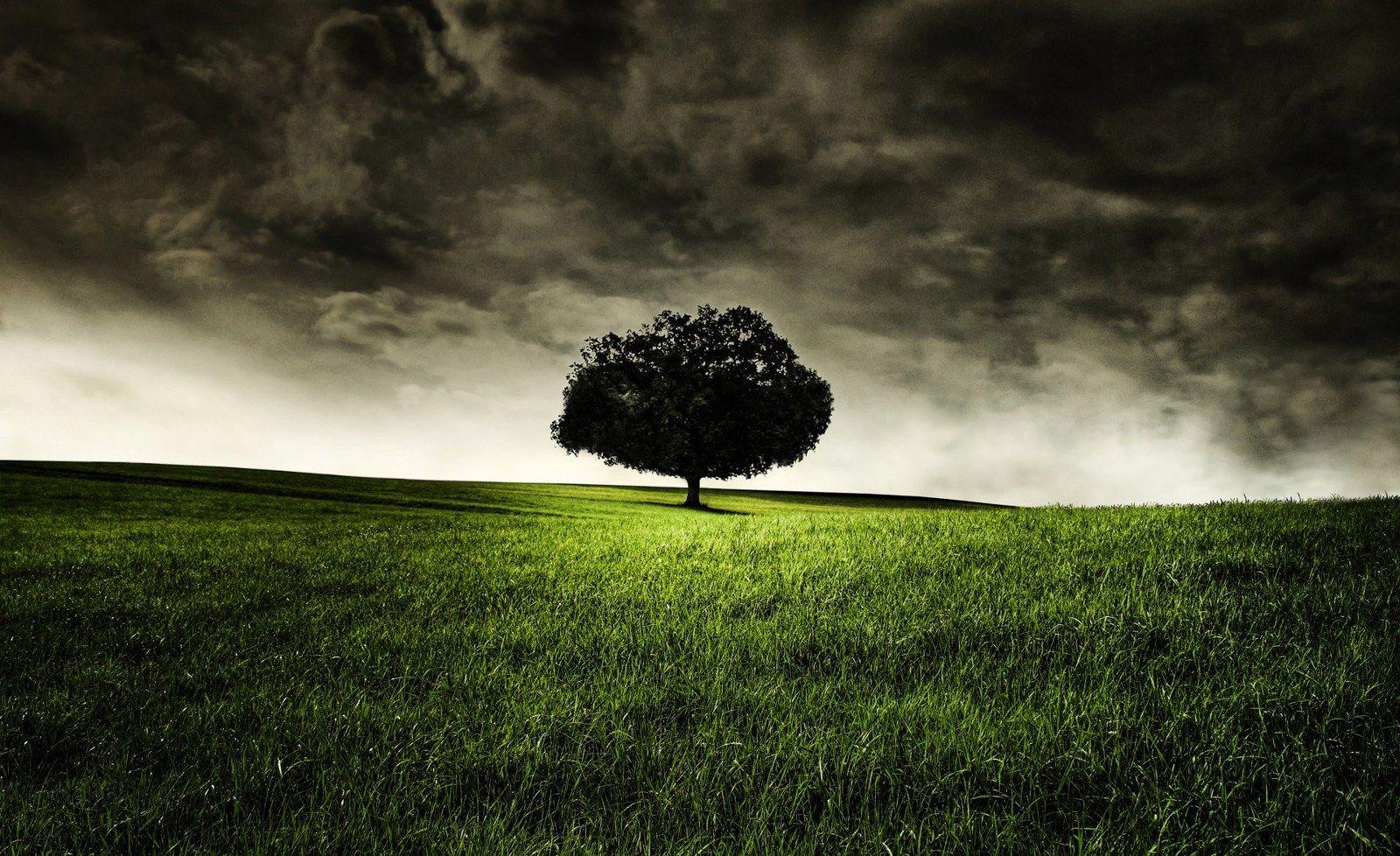 Best Tablet Wallpapers - Top Free Best Tablet Backgrounds - WallpaperAccess