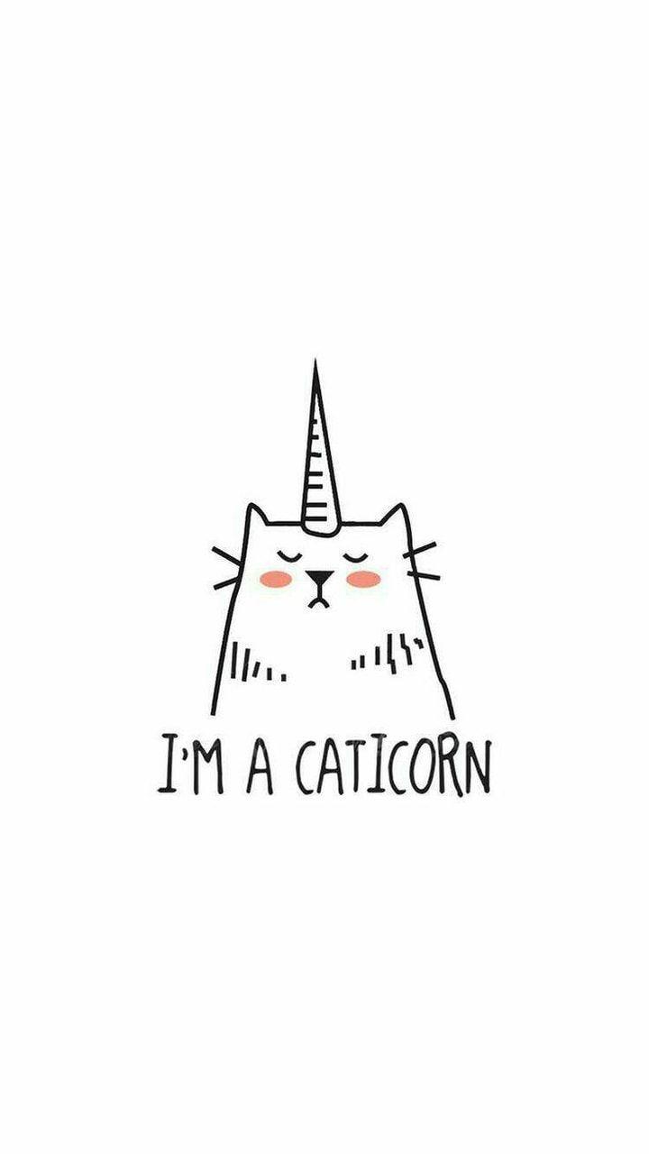 Caticorn Wallpapers - Top Free Caticorn Backgrounds - WallpaperAccess
