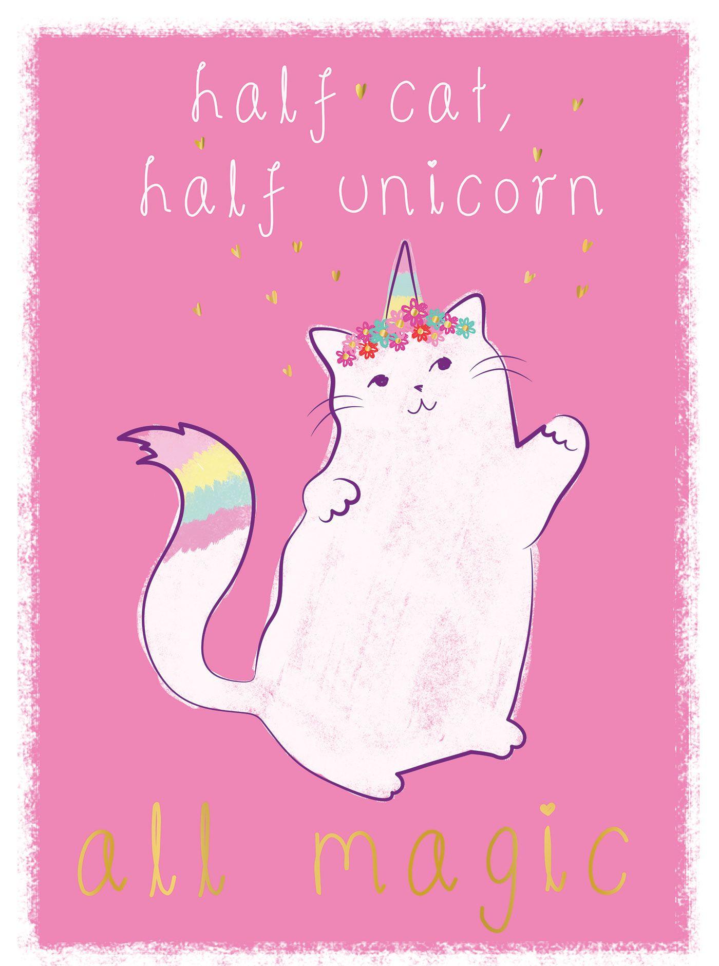 Caticorn Wallpapers - Top Free Caticorn Backgrounds - WallpaperAccess