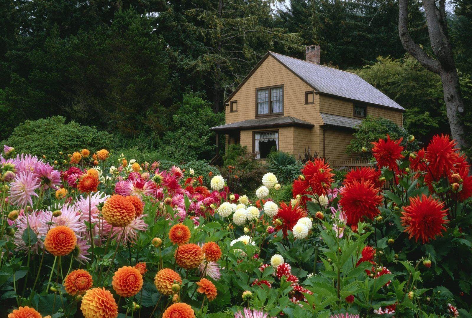 Country Garden Wallpapers - Top Free Country Garden Backgrounds ...