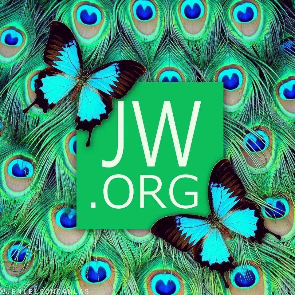 JW Wallpapers - Top Free JW Backgrounds - WallpaperAccess