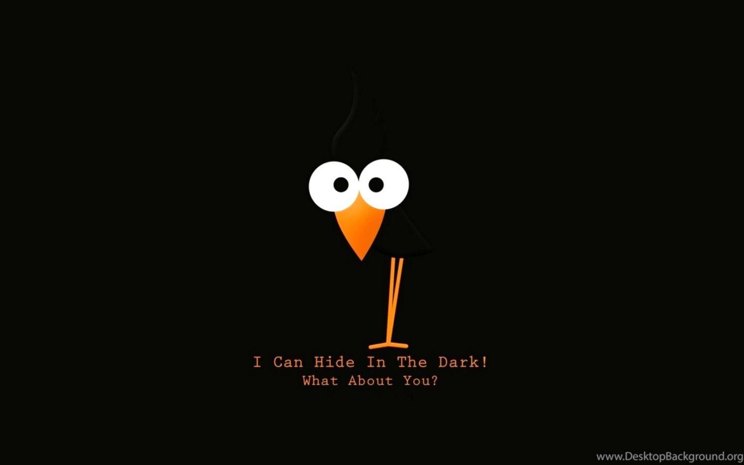 Funny Text Wallpapers - Top Free Funny Text Backgrounds - WallpaperAccess