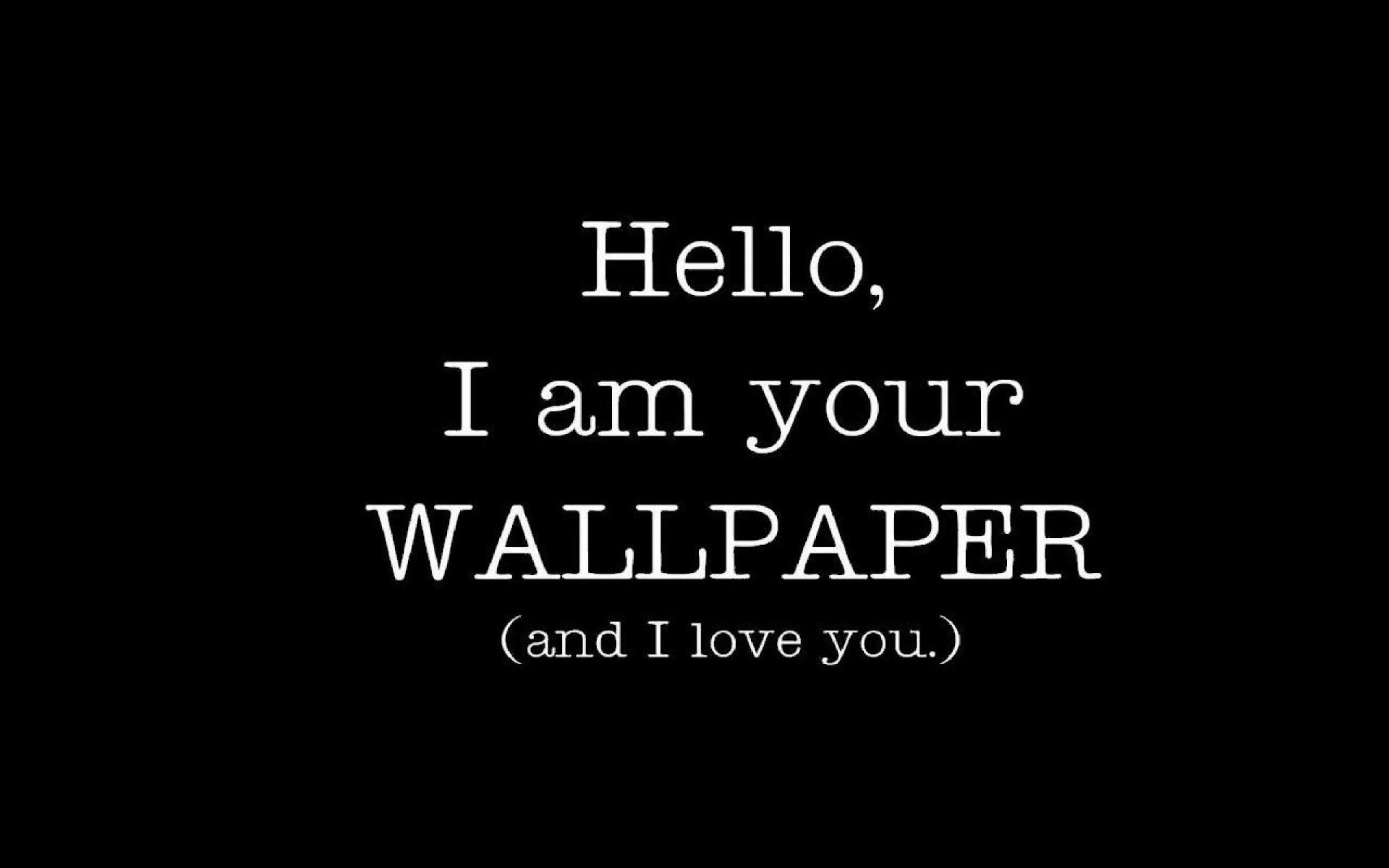 Funny Text Wallpapers - Top Free Funny Text Backgrounds - WallpaperAccess