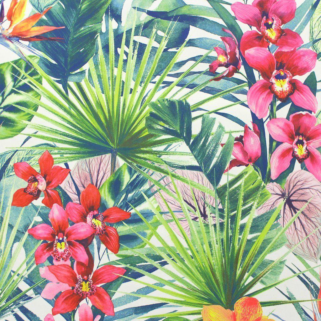 Tropical Art Wallpapers - Top Free Tropical Art Backgrounds ...