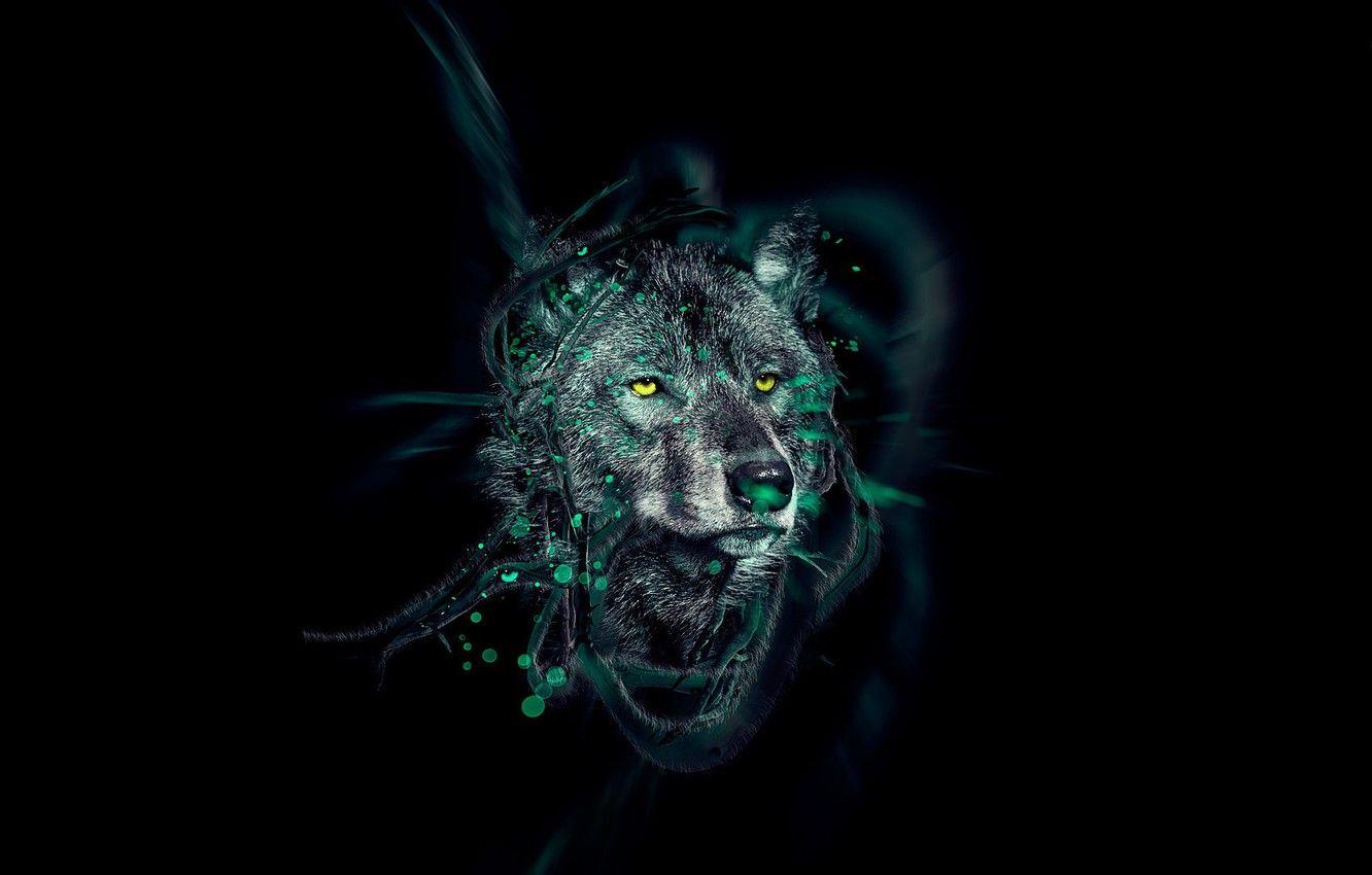 Space Wolf Wallpapers - Top Free Space Wolf Backgrounds - WallpaperAccess