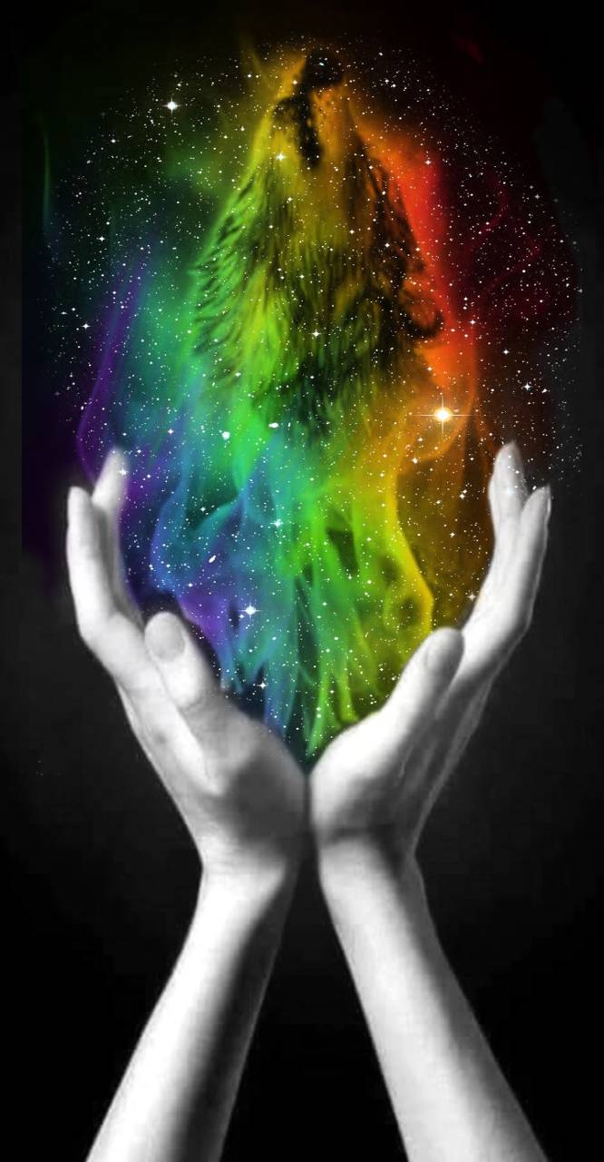 Rainbow Wolf Wallpapers - Top Free Rainbow Wolf Backgrounds ...