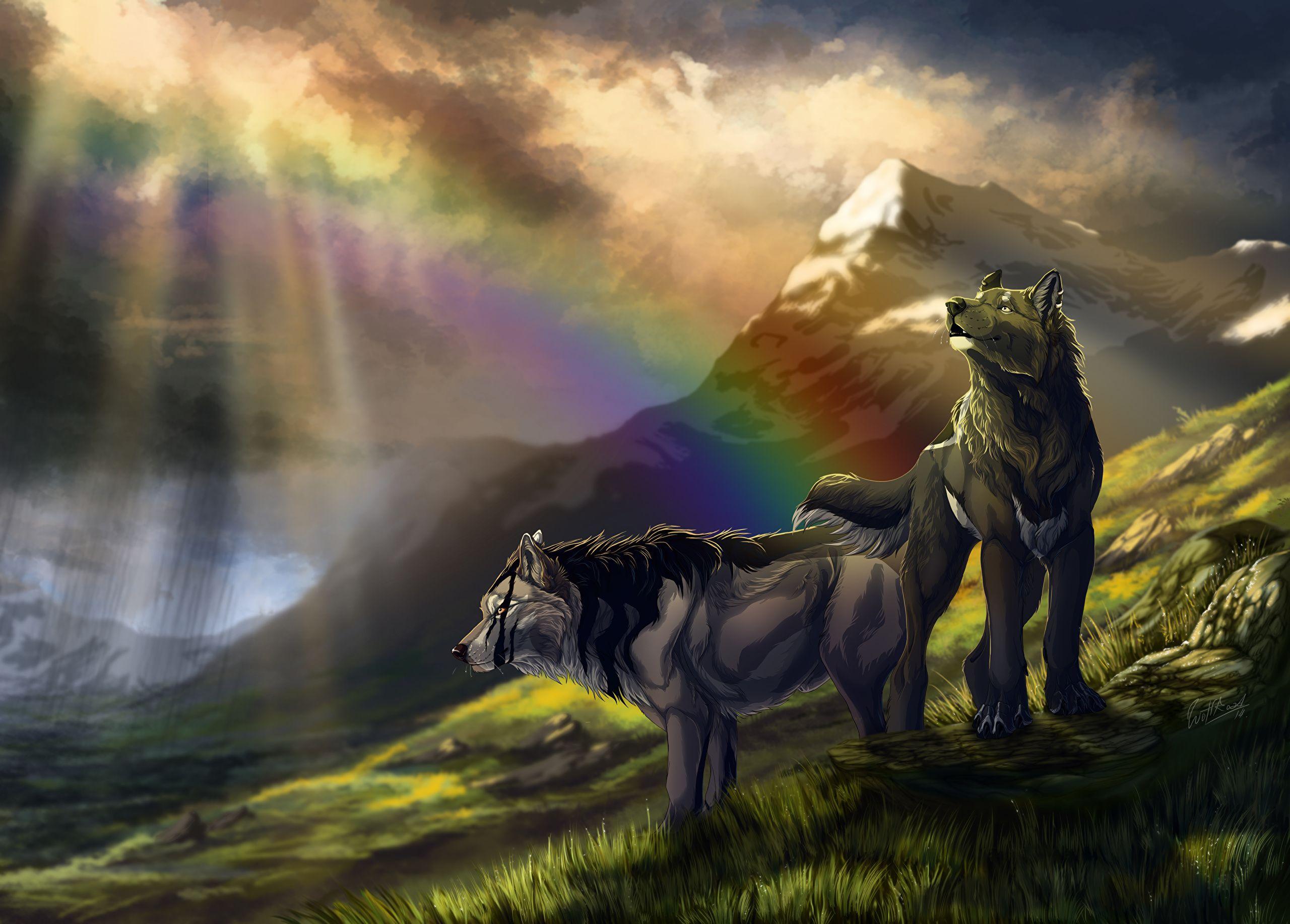 Rainbow Wolf Wallpapers - Top Free Rainbow Wolf Backgrounds ...