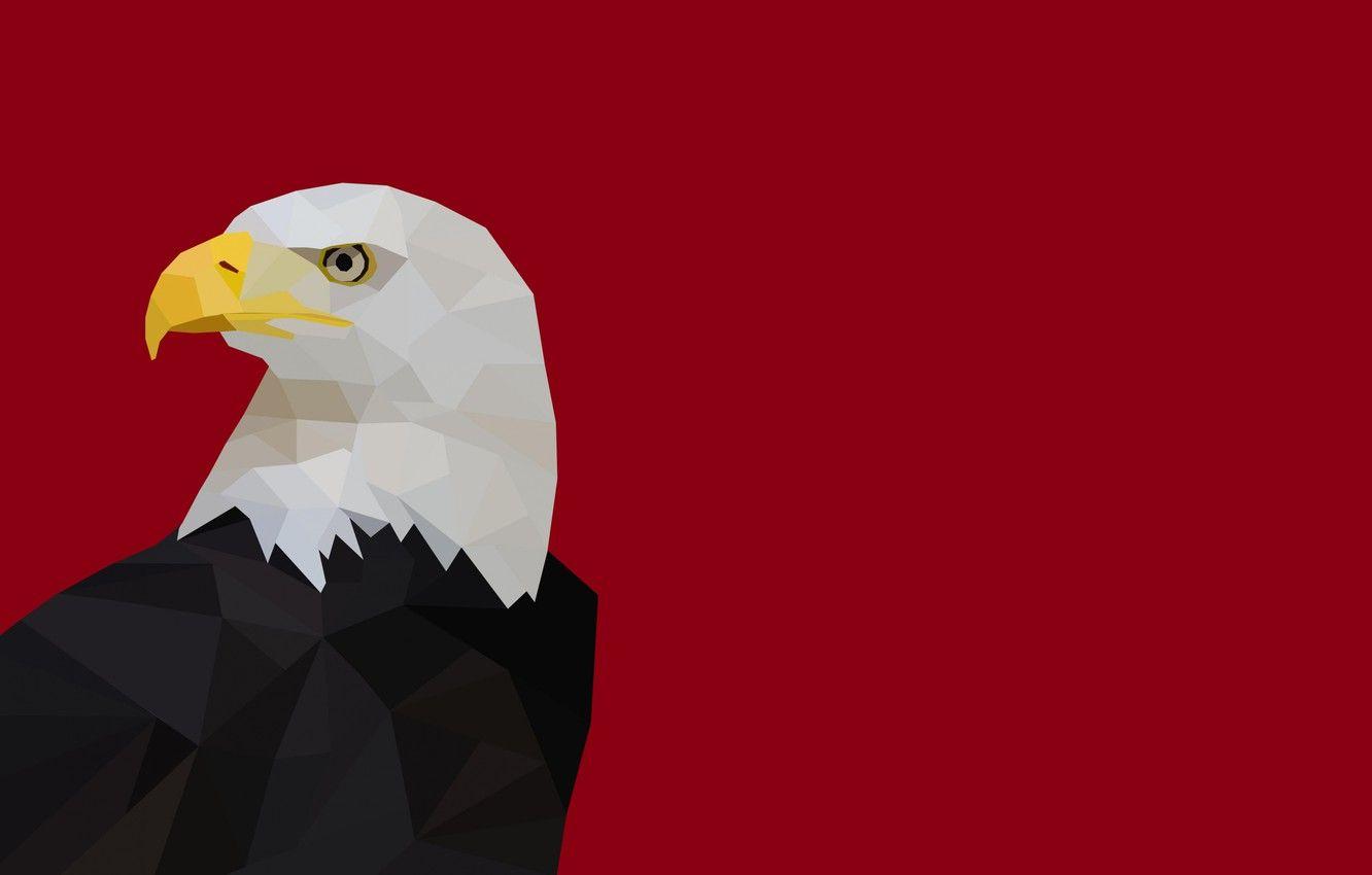 Eagle Minimalist Wallpapers - Top Free Eagle Minimalist Backgrounds ...