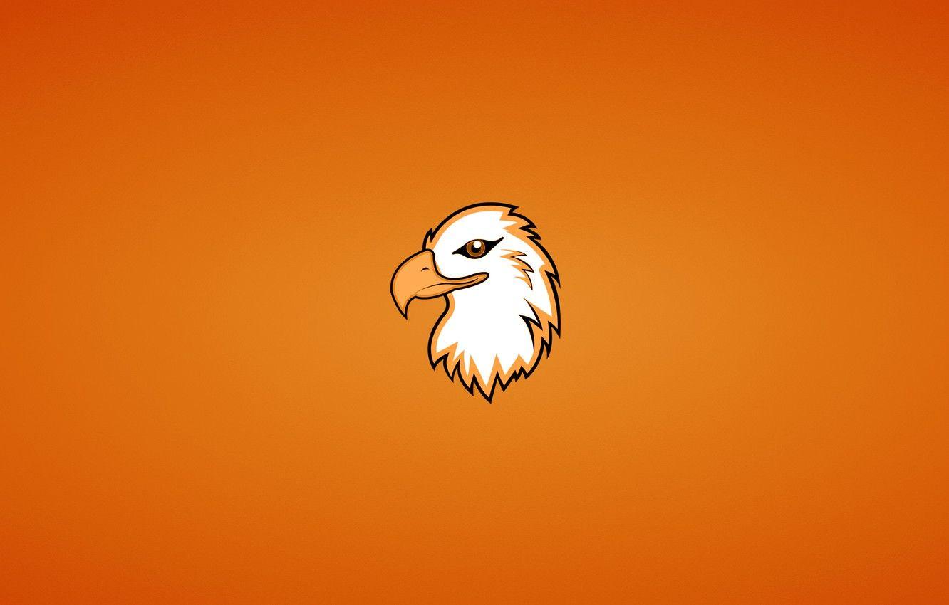 Eagle Minimalist Wallpapers - Top Free Eagle Minimalist Backgrounds ...