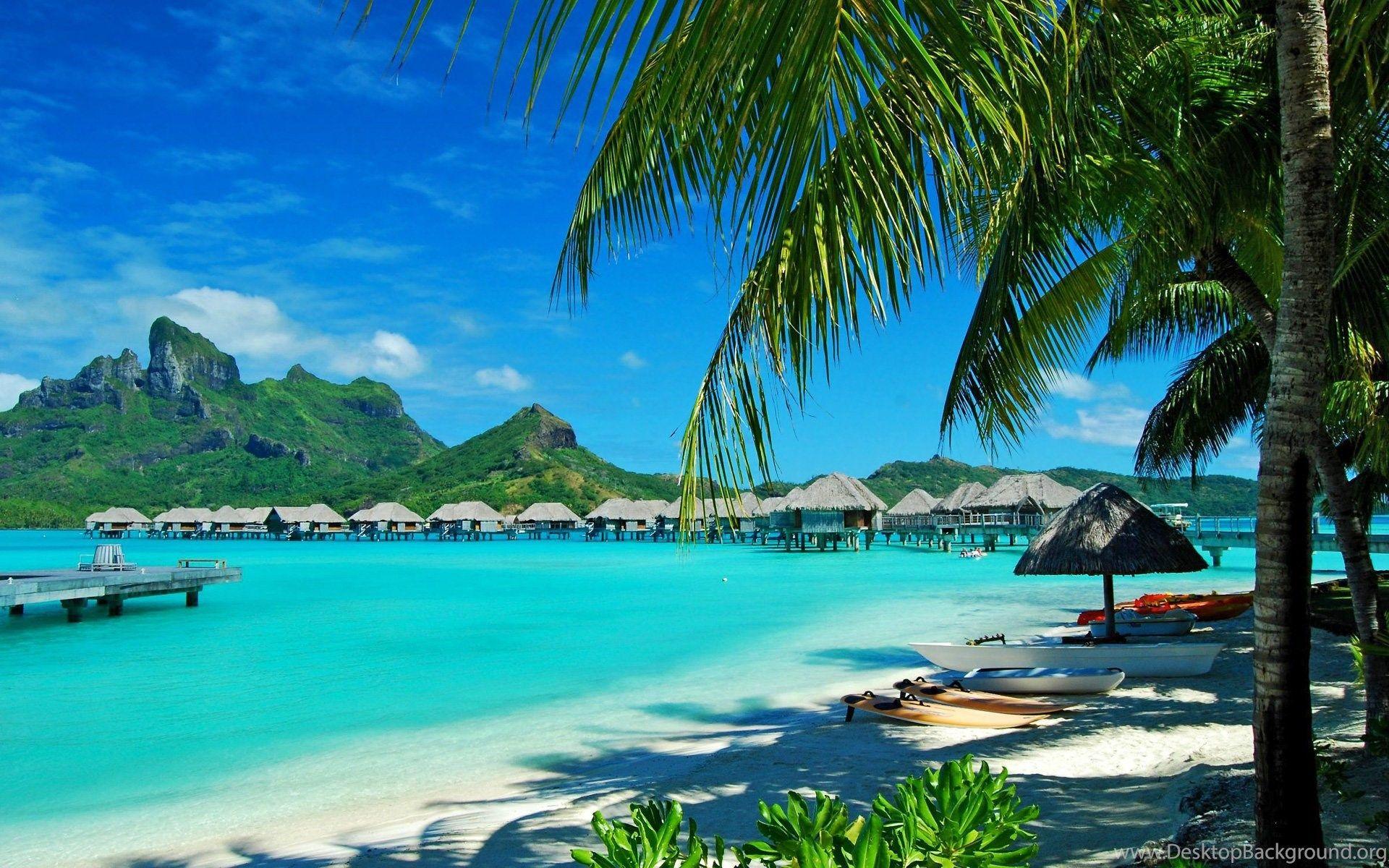 Tropical Computer Wallpapers - Top Free Tropical Computer Backgrounds ...