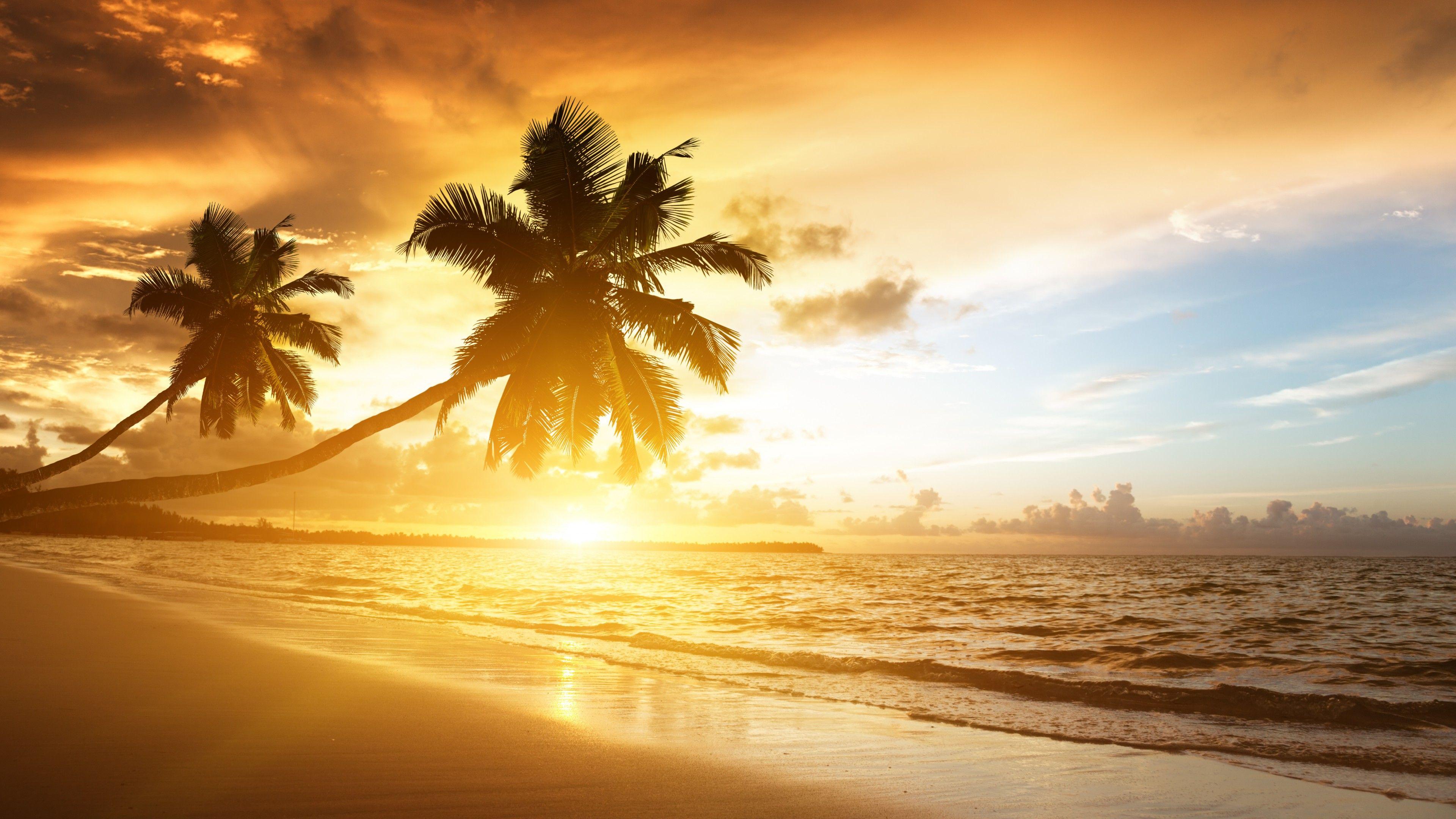 Tropical Sunset 4K Wallpapers - Top Free Tropical Sunset 4K Backgrounds ...