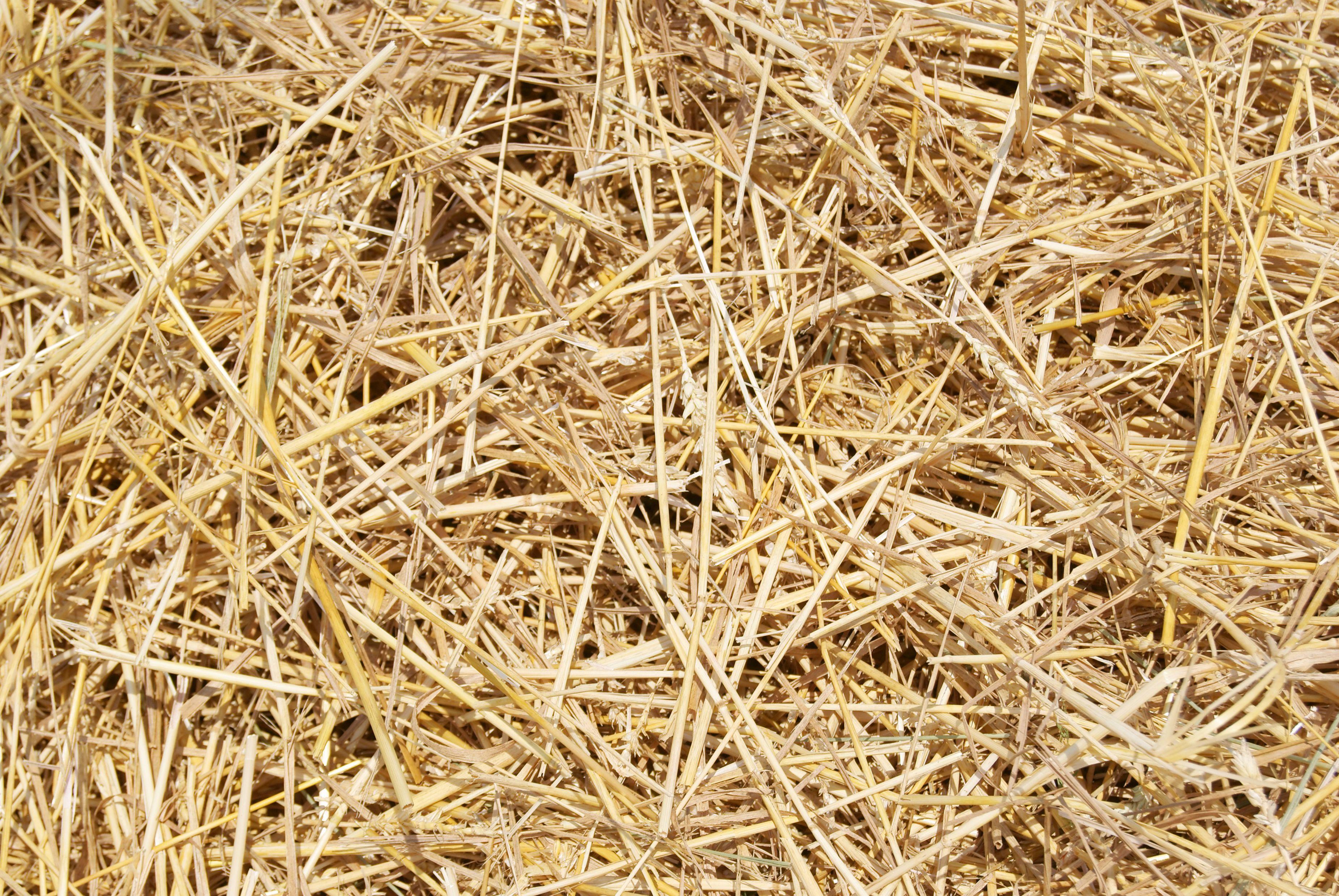 Straw Wallpapers - Top Free Straw Backgrounds - WallpaperAccess