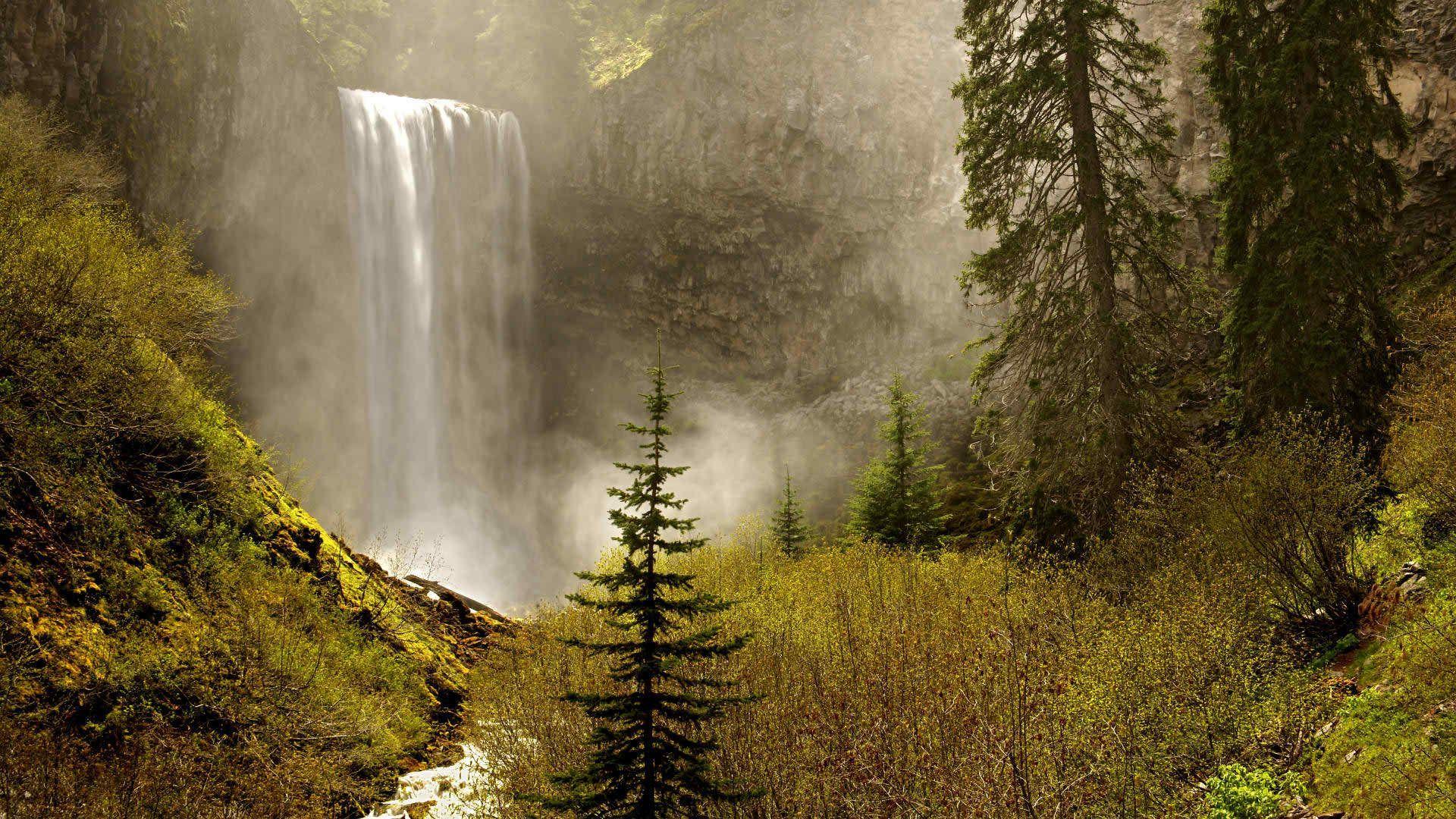 Oregon Nature Wallpapers - Top Free Oregon Nature Backgrounds ...