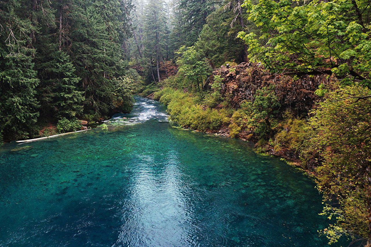Oregon Nature Wallpapers - Top Free Oregon Nature Backgrounds ...