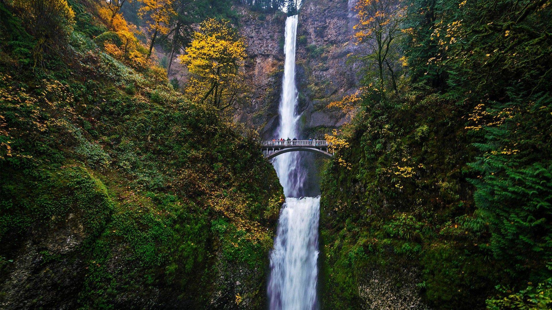 Oregon Nature Wallpapers - Top Free Oregon Nature Backgrounds ...