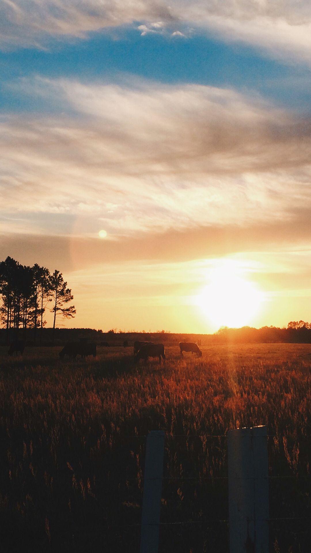 Rustic iPhone Wallpapers - Top Free Rustic iPhone Backgrounds ...