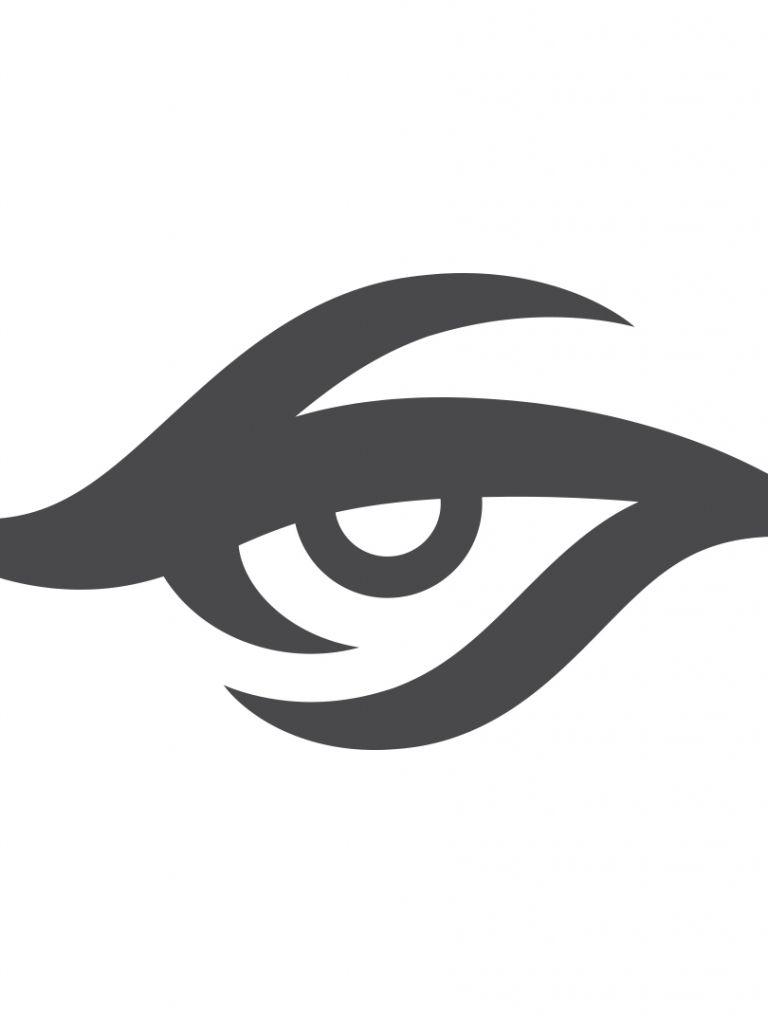 Team Secret Wallpapers - Top Free Team Secret Backgrounds - WallpaperAccess