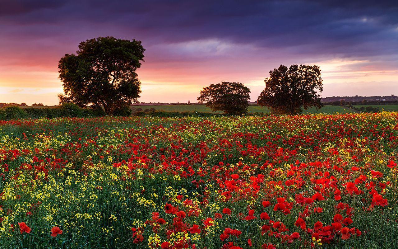 New England Summer Wallpapers - Top Free New England Summer Backgrounds ...