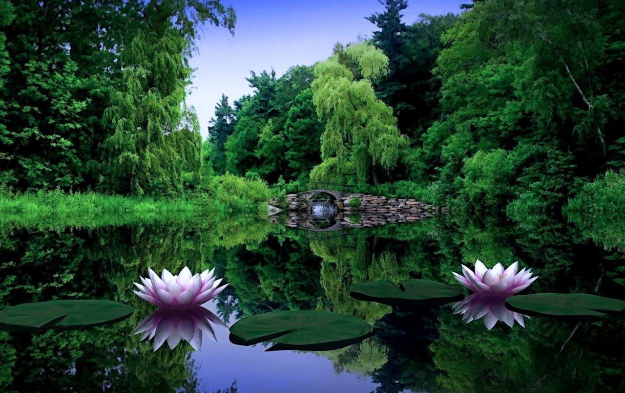 Romantic Water Wallpapers - Top Free Romantic Water Backgrounds ...